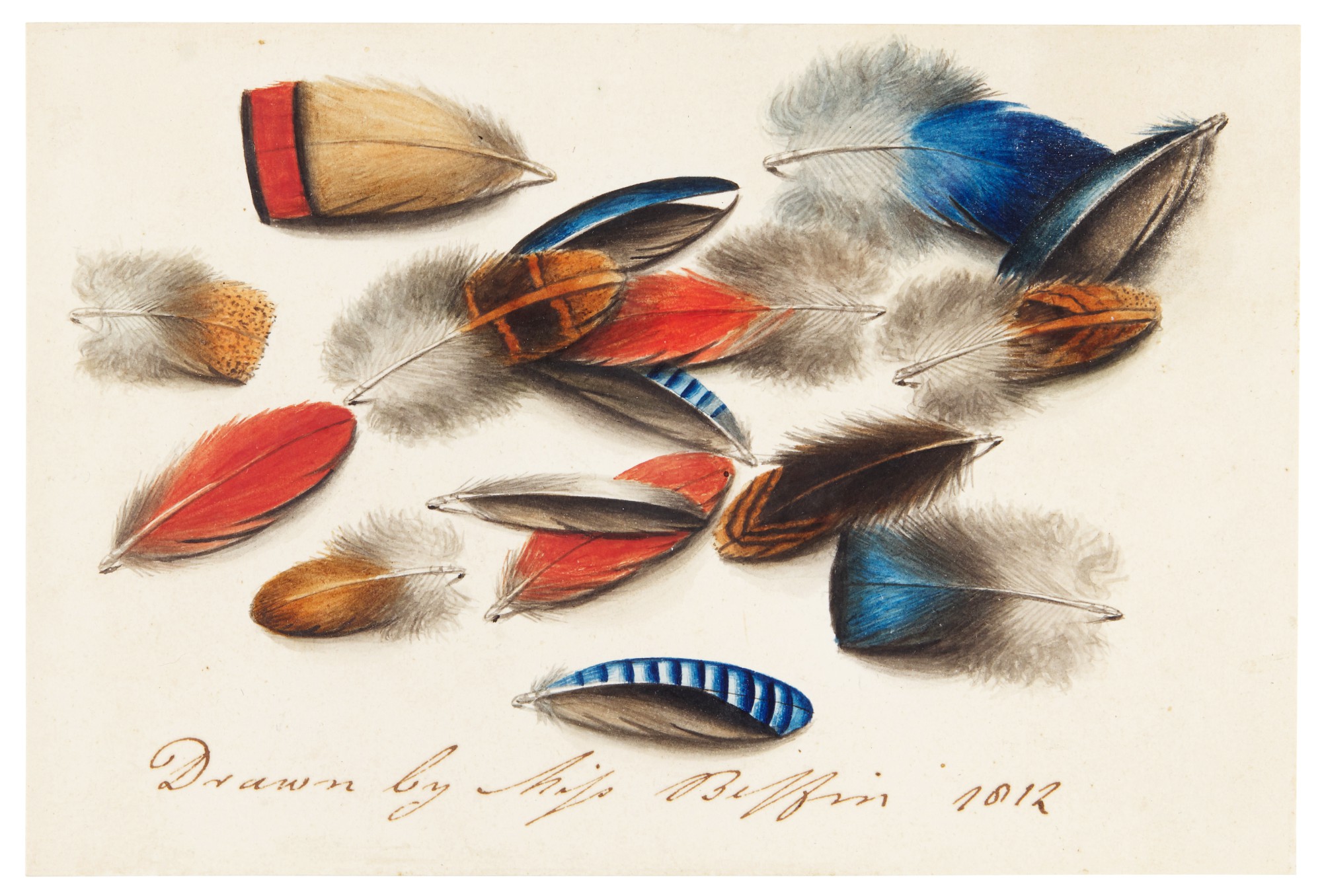 Study of feathers | A Fine Line: Master Works on Paper from Five ...