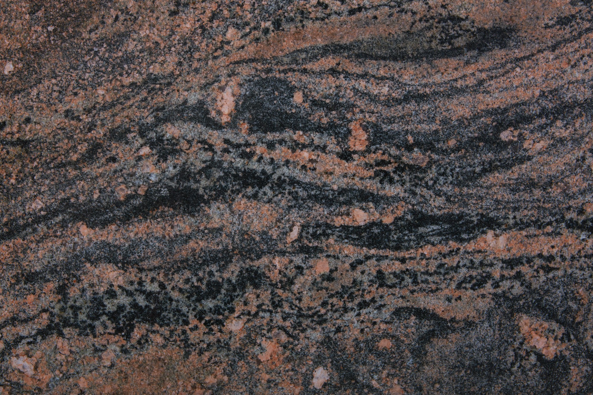 Morton Gneiss Plate | History of Science & Technology, Including ...