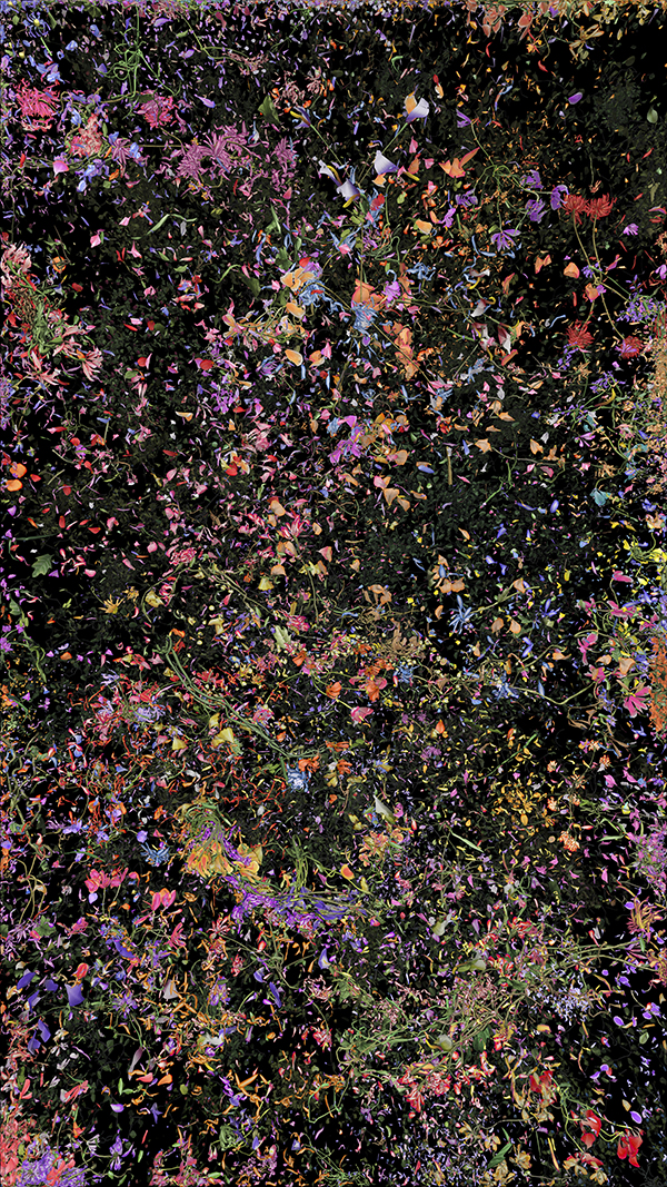 Jennifer Steinkamp Botanic, 4, Still Frame 26 Available For Immediate ...
