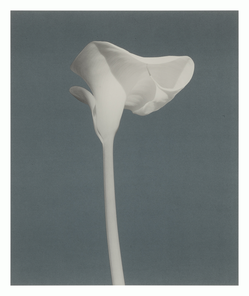 America (Triptych) | Contemporary Discoveries | 2022 | Sotheby's