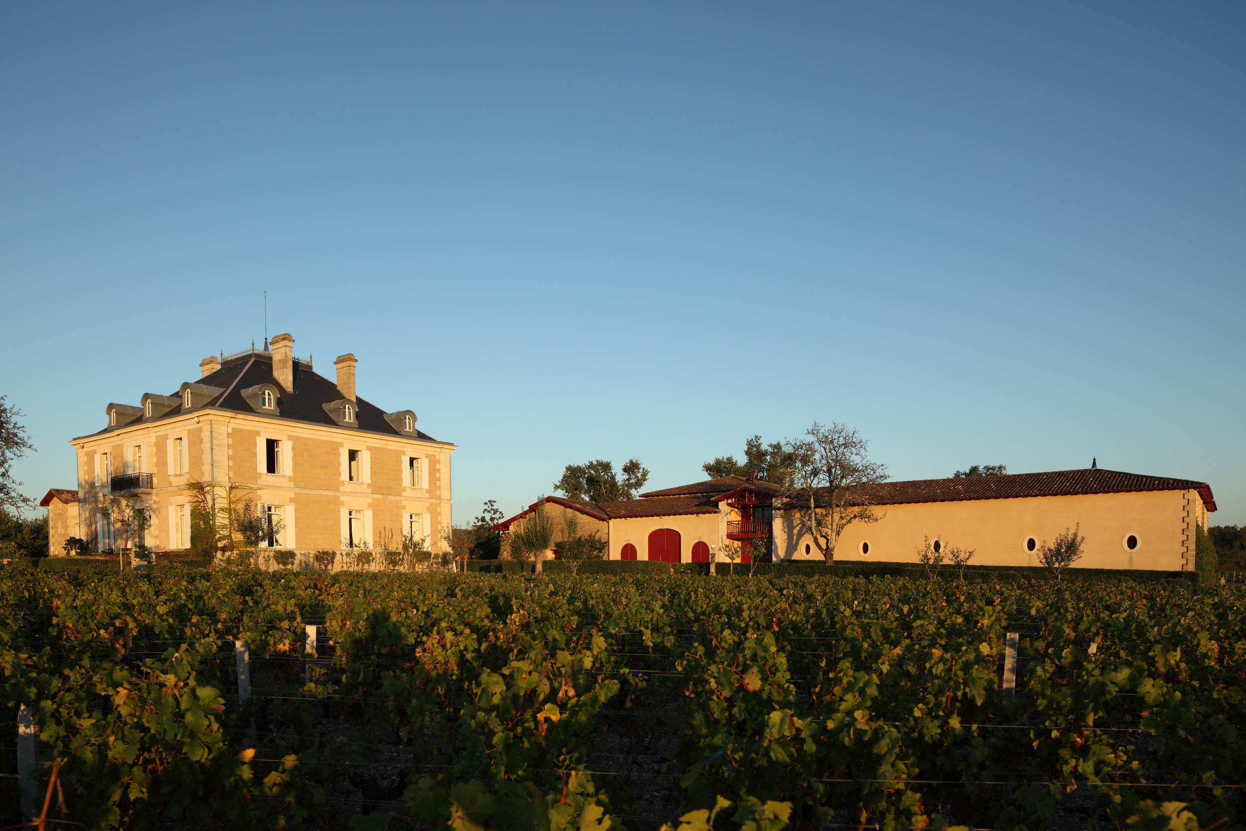 Chateau Haut Bailly 1985 (12 BT) | The Adrian Bowden Collection ...