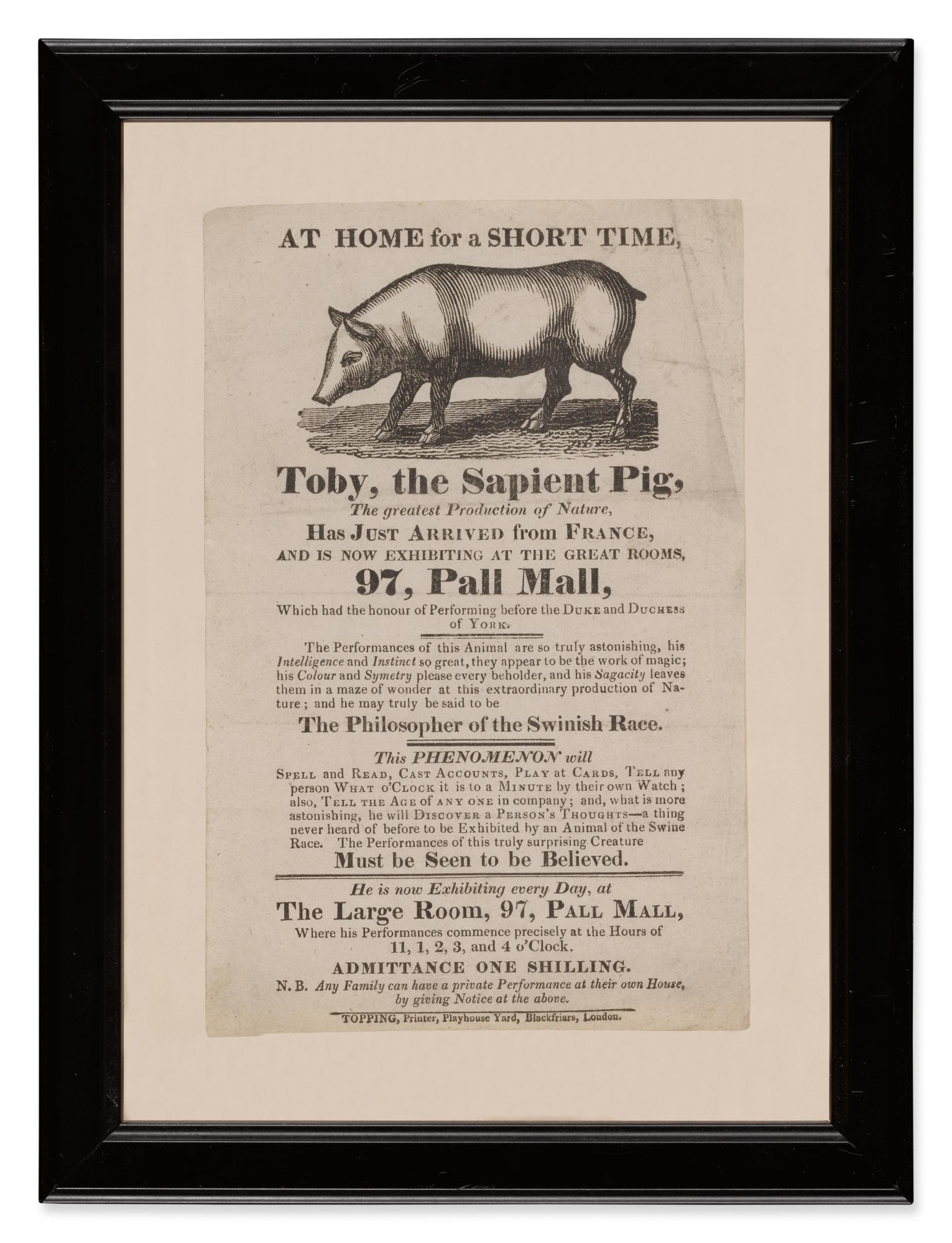 (Learned Animals, Pigs) | The Philosopher of the Swinish Race | The ...