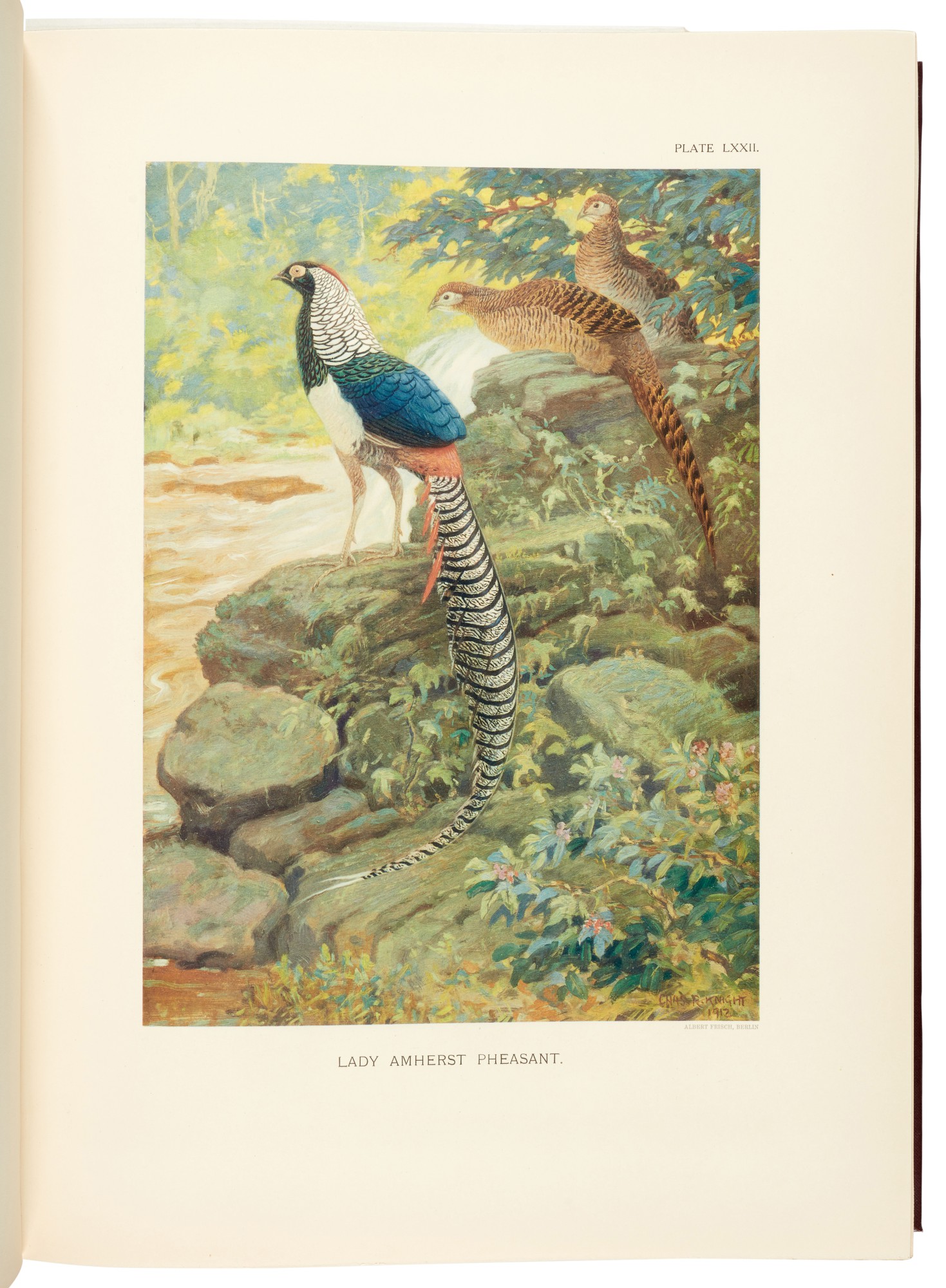 William Beebe | A Monograph of the Pheasants, 4 volumes, London ...
