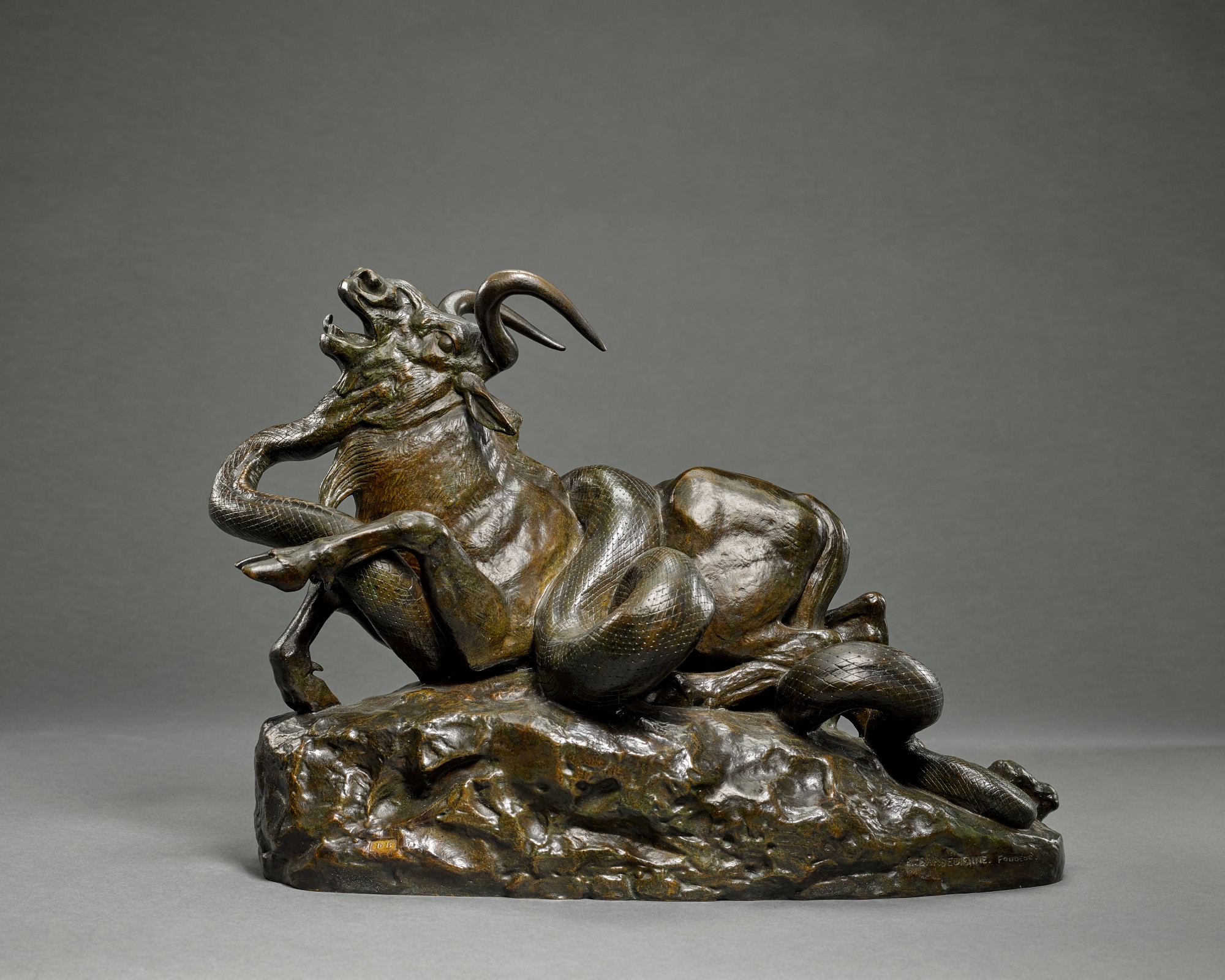 Serpent python saisissant un gnou à la gorge (Python grabbing a ...