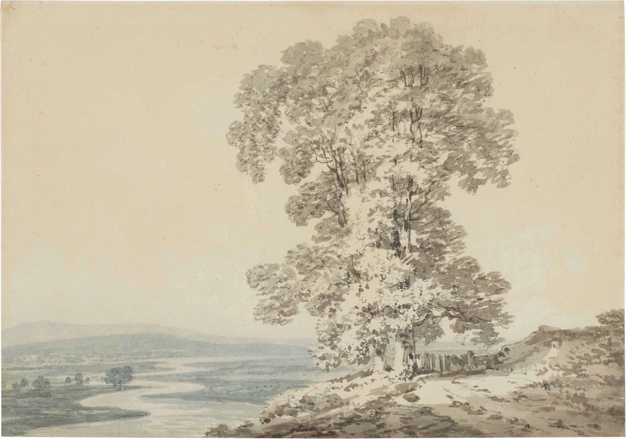 A tree in a landscape | Old Master & British Works on Paper | 2021 ...