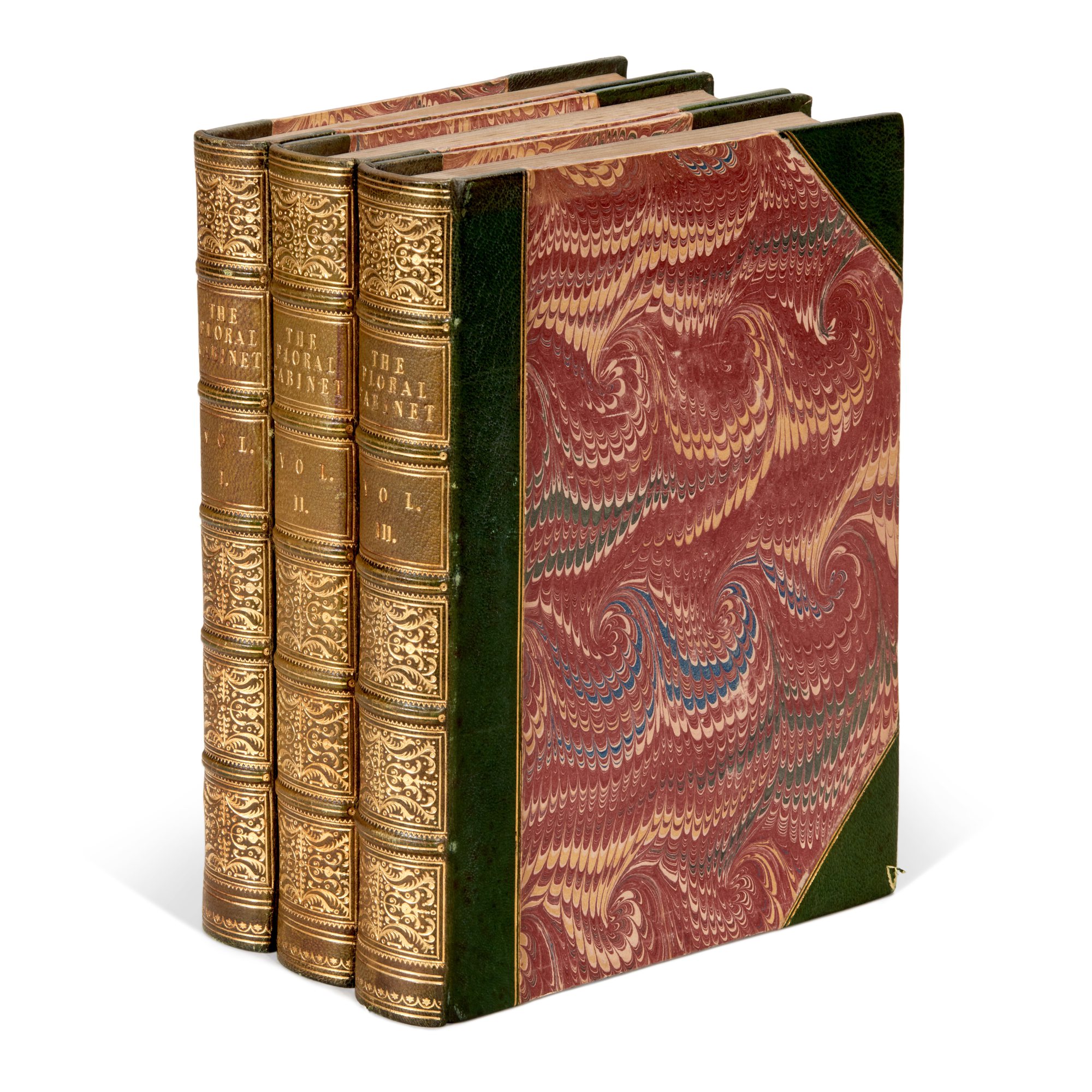 G.B. Knowles and Frederic Westcott | The floral cabinet, 1837-40, 3 ...