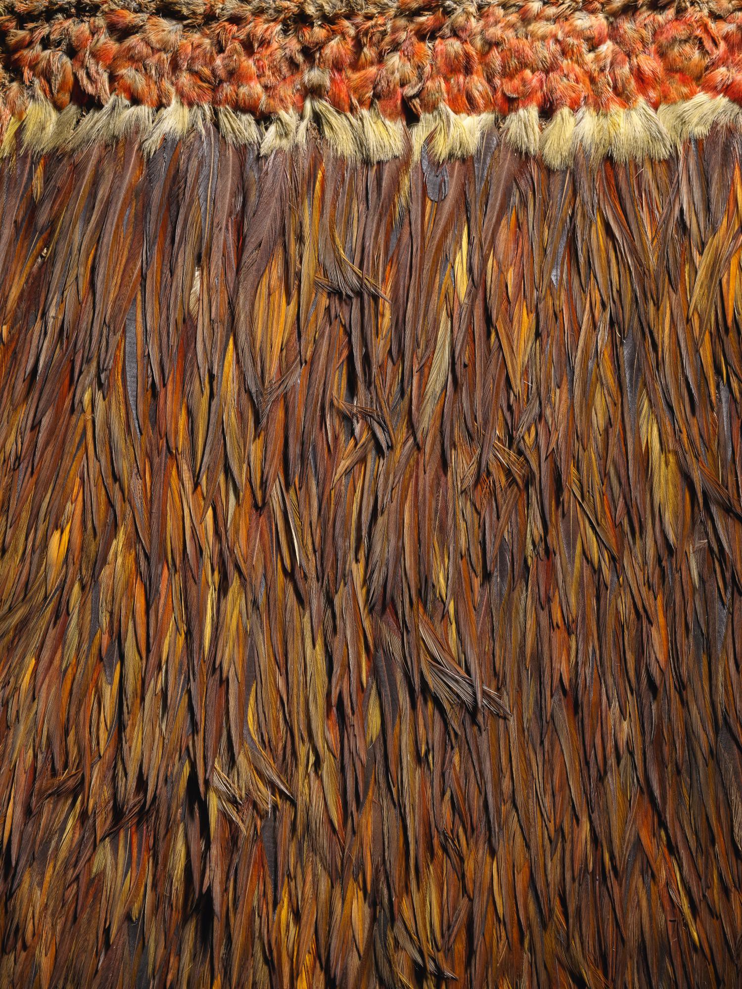 A Feathered Cape (‘ahu ‘ula), Hawaiian Islands, 18th century ...