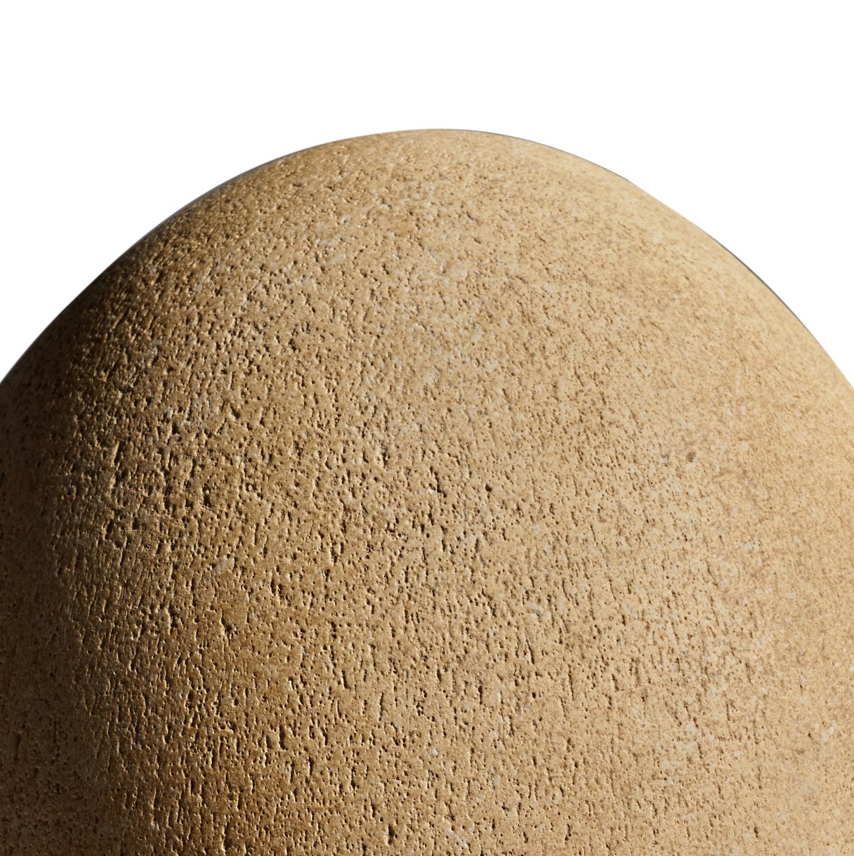 A Completely Intact Egg of an Elephant Bird | Natural History | 2021 ...