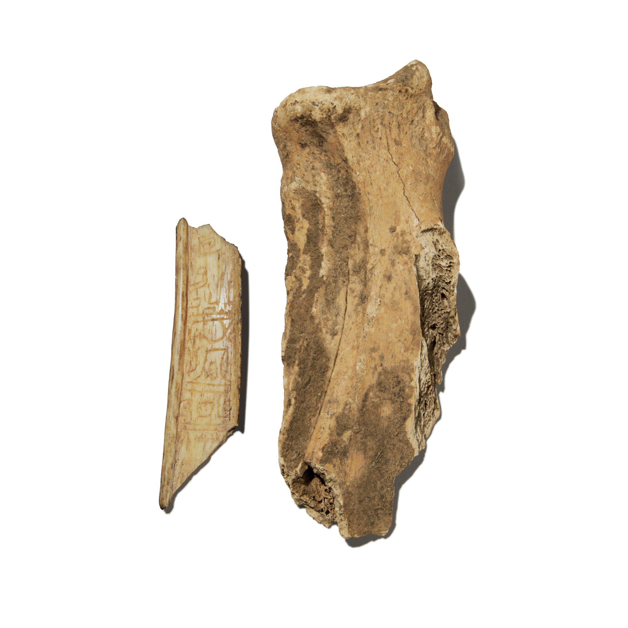 An inscribed oracle bone, Late Shang dynasty | 商末 甲骨刻辭一片 | CHINA / 5000 ...