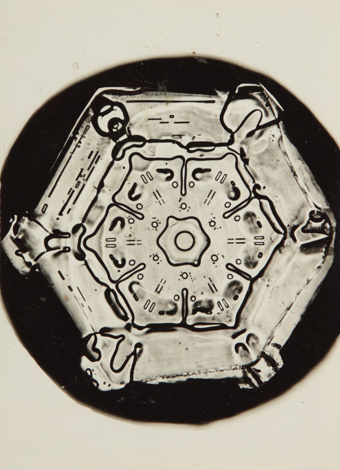 WILSON A. BENTLEY | SELECTED IMAGES OF SNOWFLAKES | Photographs | 2020 ...