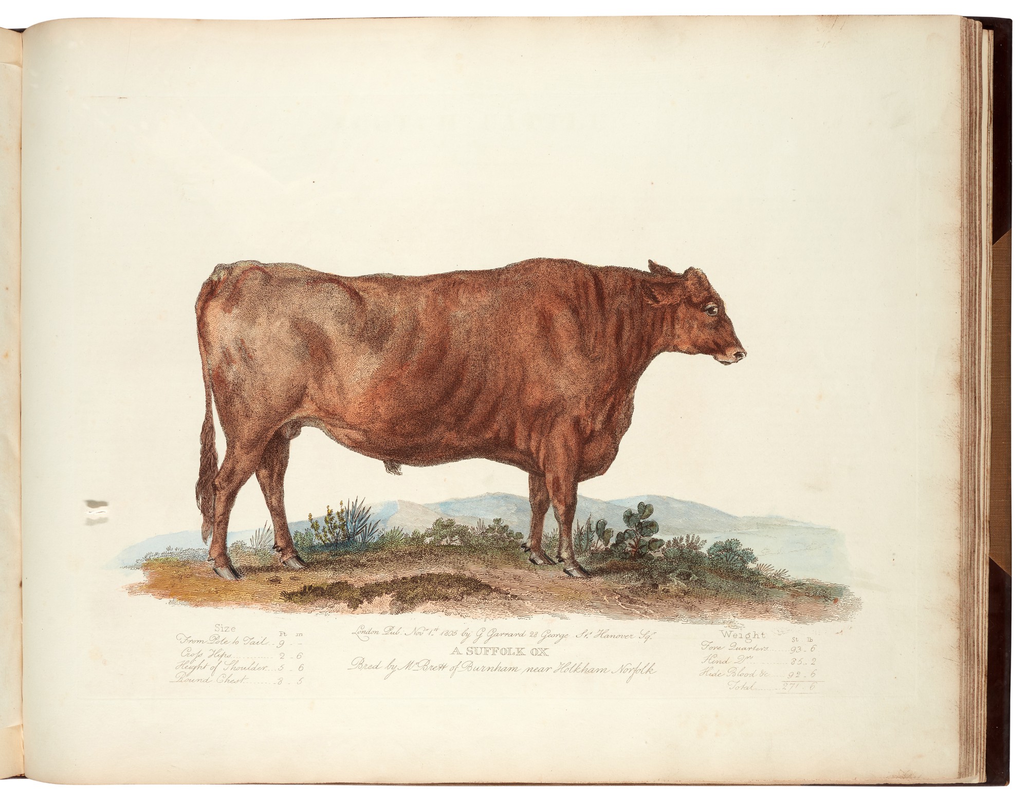 George Garrard | A description of the different varieties of oxen, 1800 ...