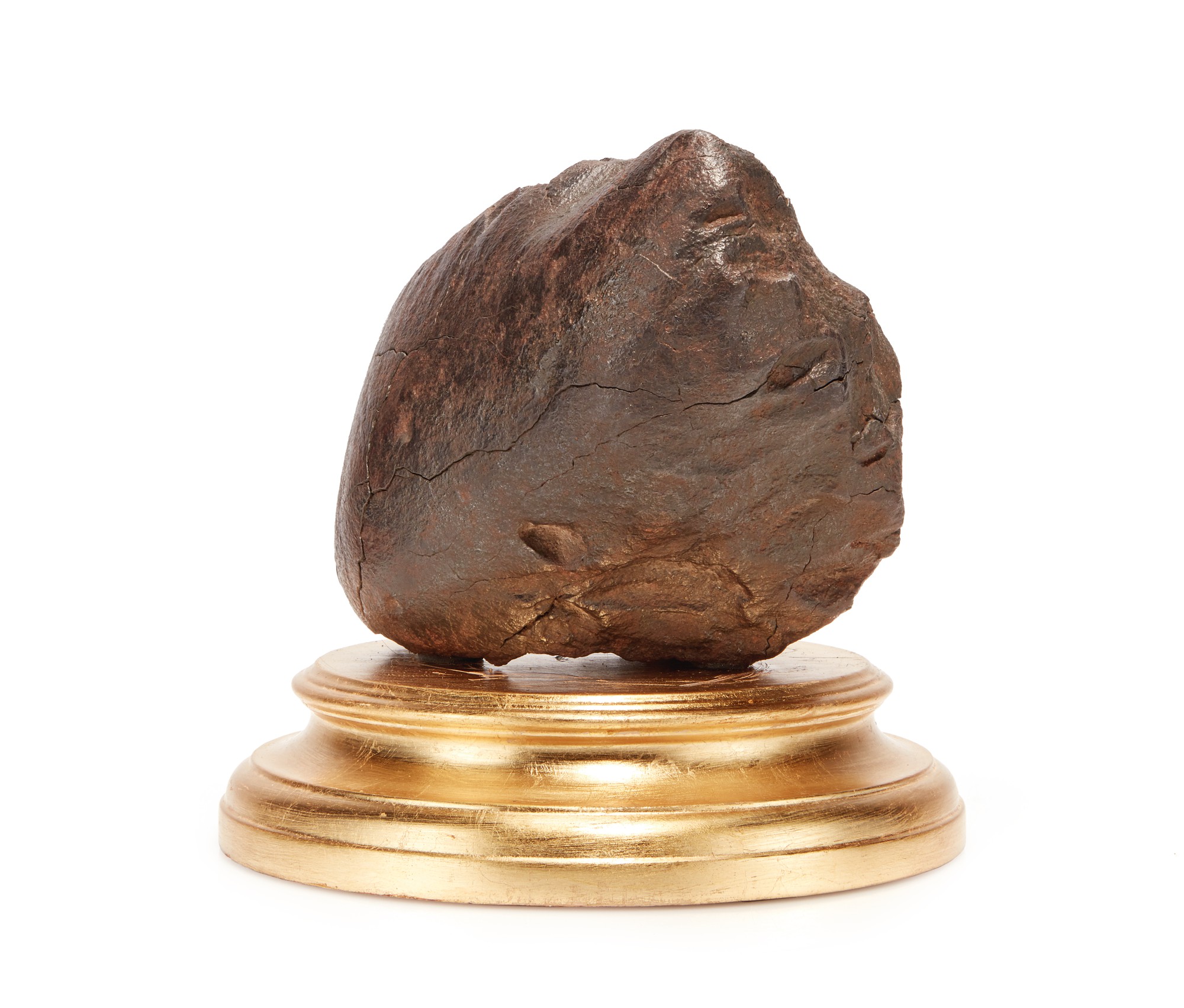 ORIENTED CHONDRITE METEORITE | Natural History; Including Fossils ...