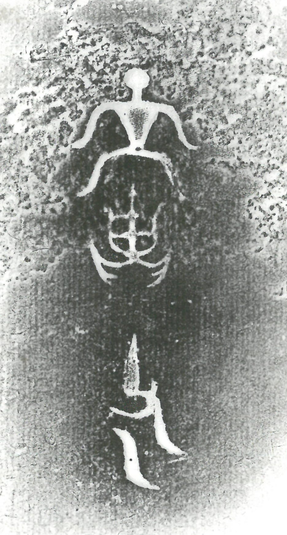 The Tian Min Fu Yi Fang Ding, Late Shang dynasty | 商末 天黽父乙方鼎 | POWER ...