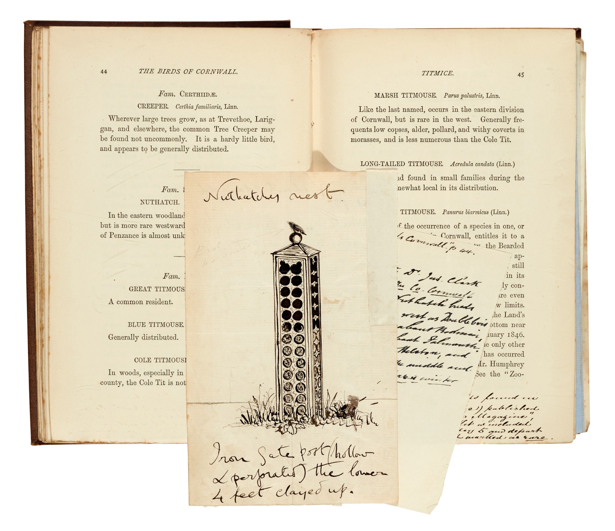 Edward Rodd and James Edmund Harting |The Birds of Cornwall, 1880 ...