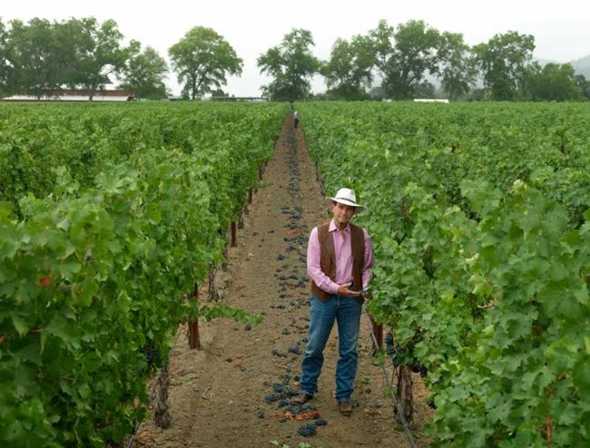TOR, 'The Centennial' Beckstoffer To Kalon, Cabernet Sauvignon ...