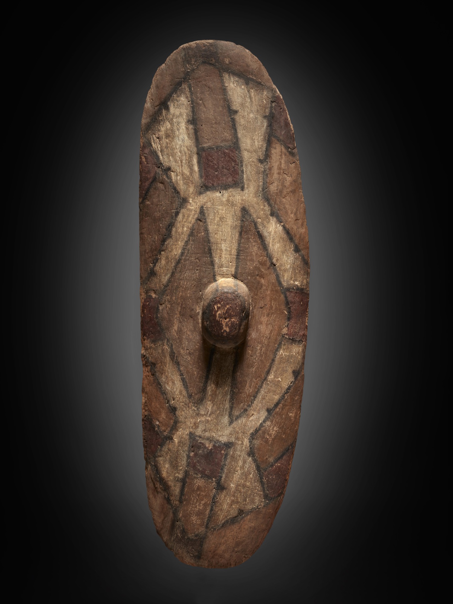 A Rainforest Shield, North East Queensland | Aboriginal Art | 2022 ...