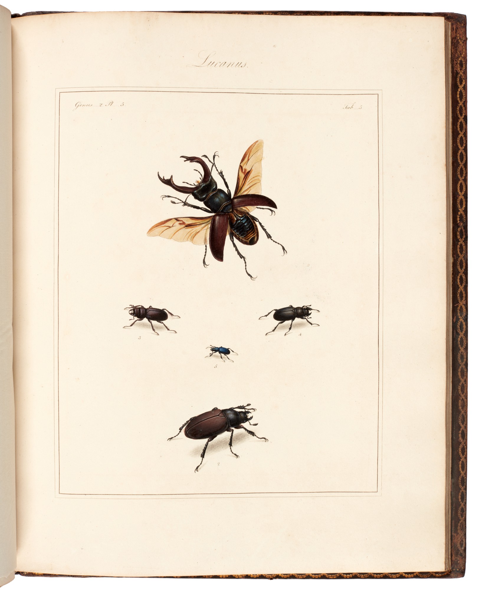 Thomas Martyn | The English entomologist, 1792 | The Library of Henry ...