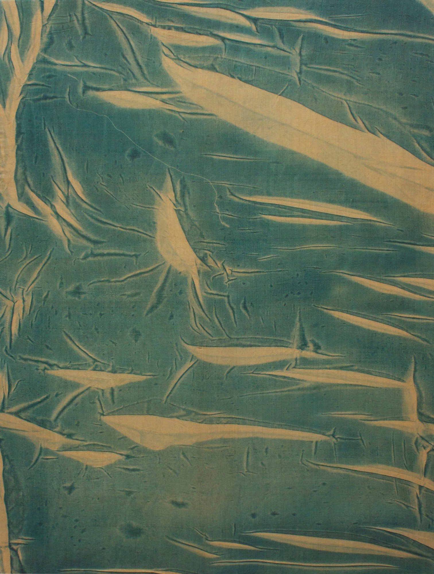 Ayan Farah | Flora Japonica | Worlds within Worlds | Works from the ...