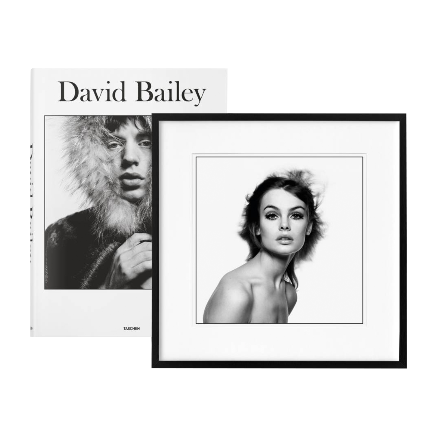 TASCHEN, David Bailey David Bailey: Art Edition Signed Available For ...