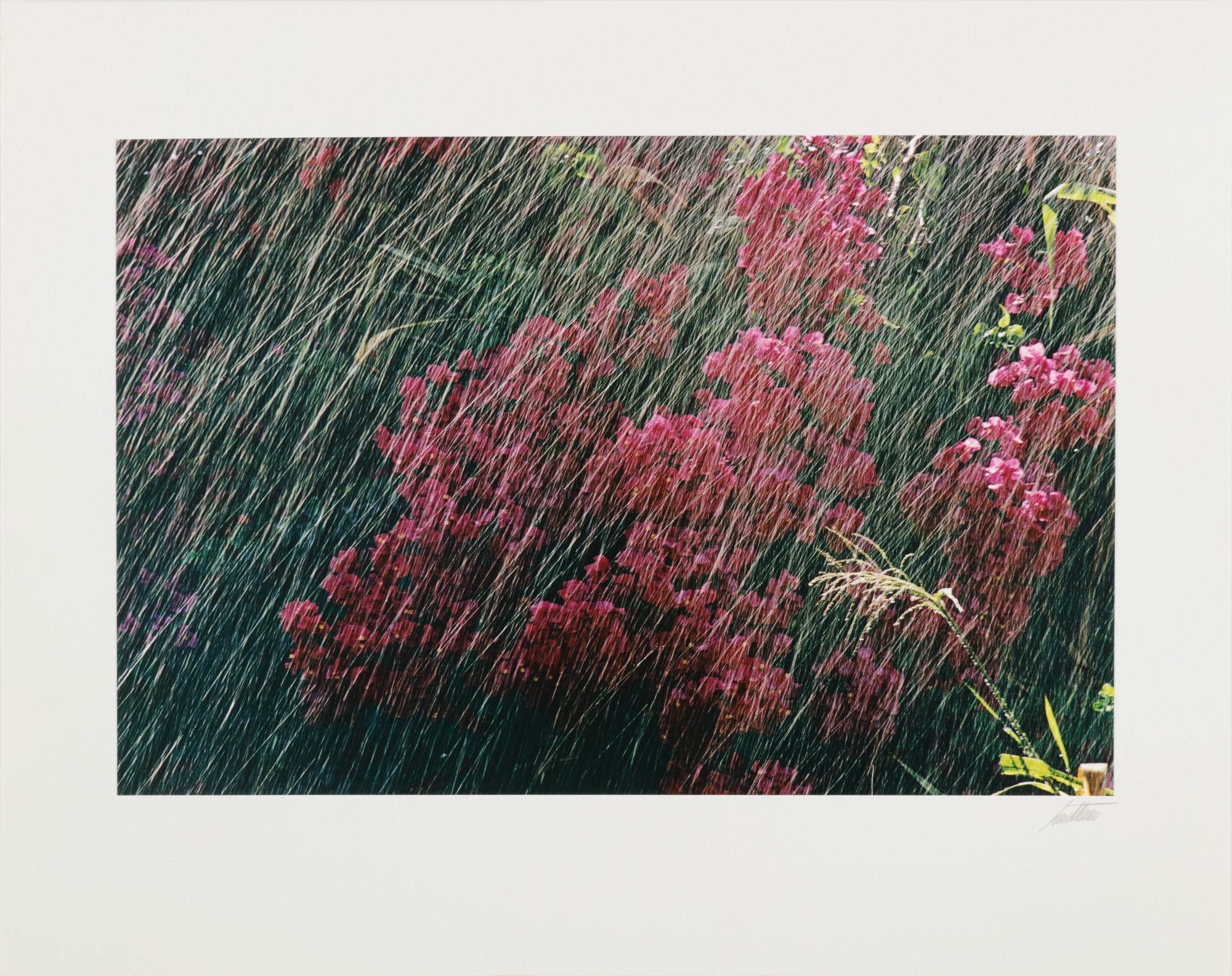 ERNST HAAS | 'THE CREATION' | Classic Photographs | 2020 | Sotheby's