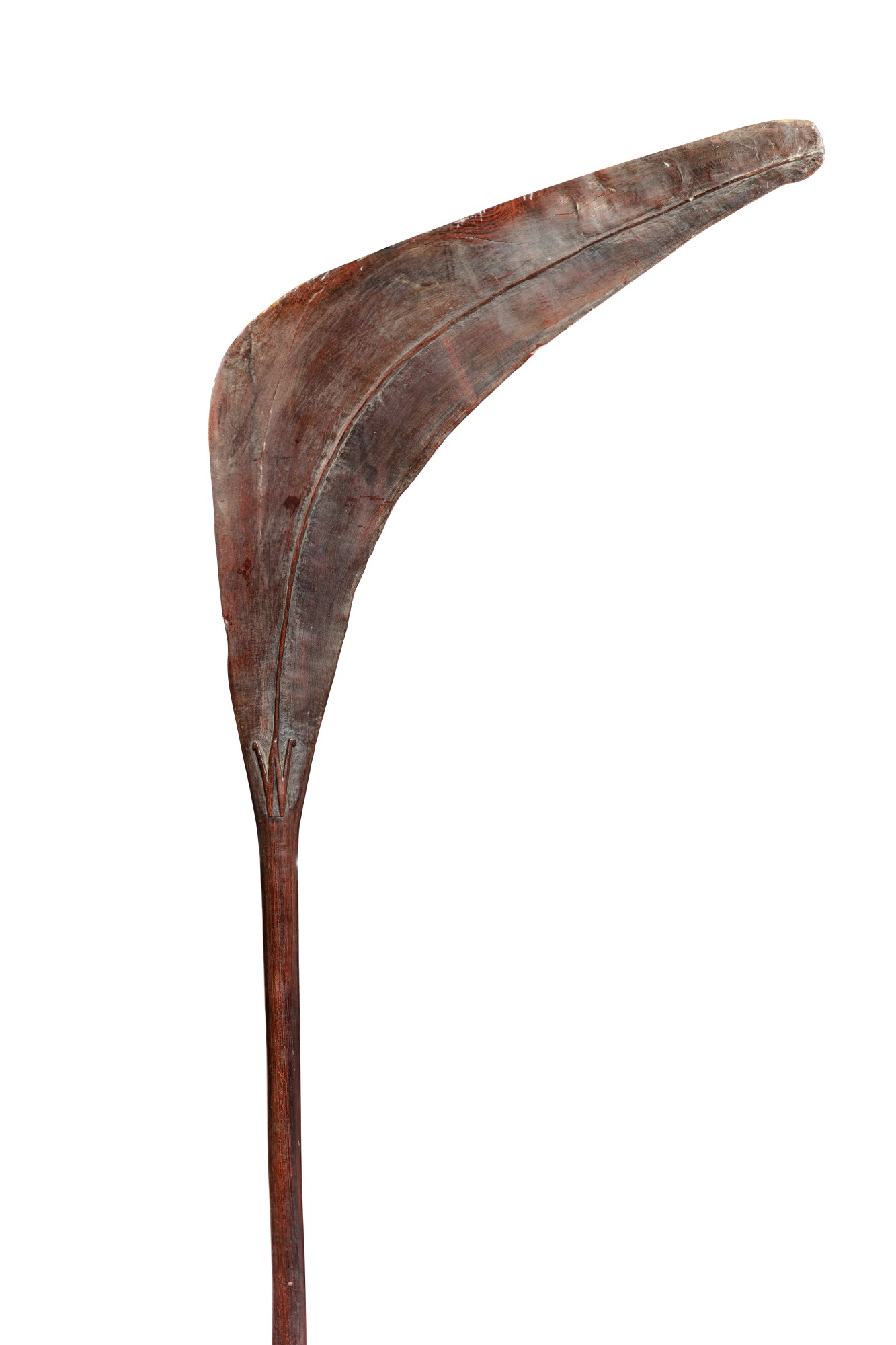 Massue bouclier qauata, Îles Salomon | Salomon Islands Qauata shield ...