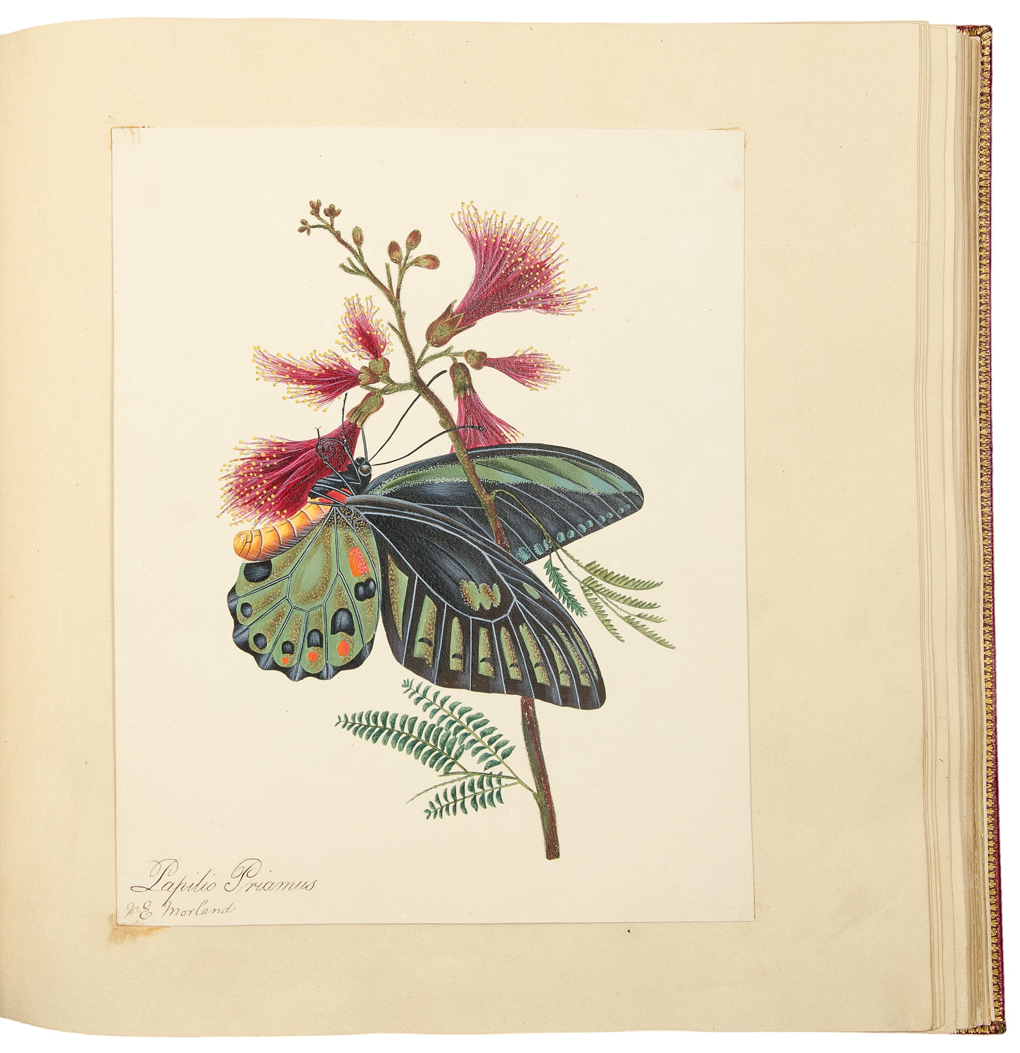 [Album Amicorum]. A collection of original drawings and watercolors ...