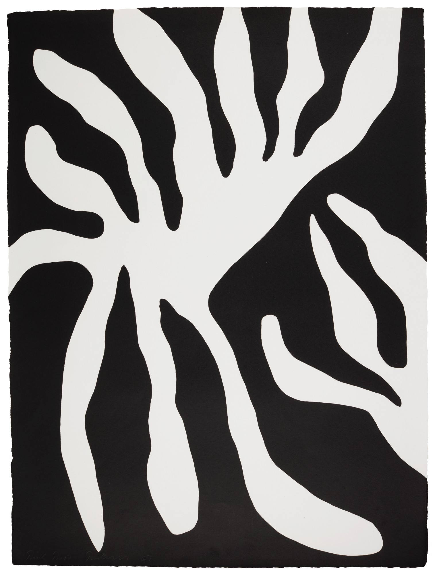 WILLIAM TURNBULL | BLACK LEAF FORM | William Turnbull - The Eternal Now ...