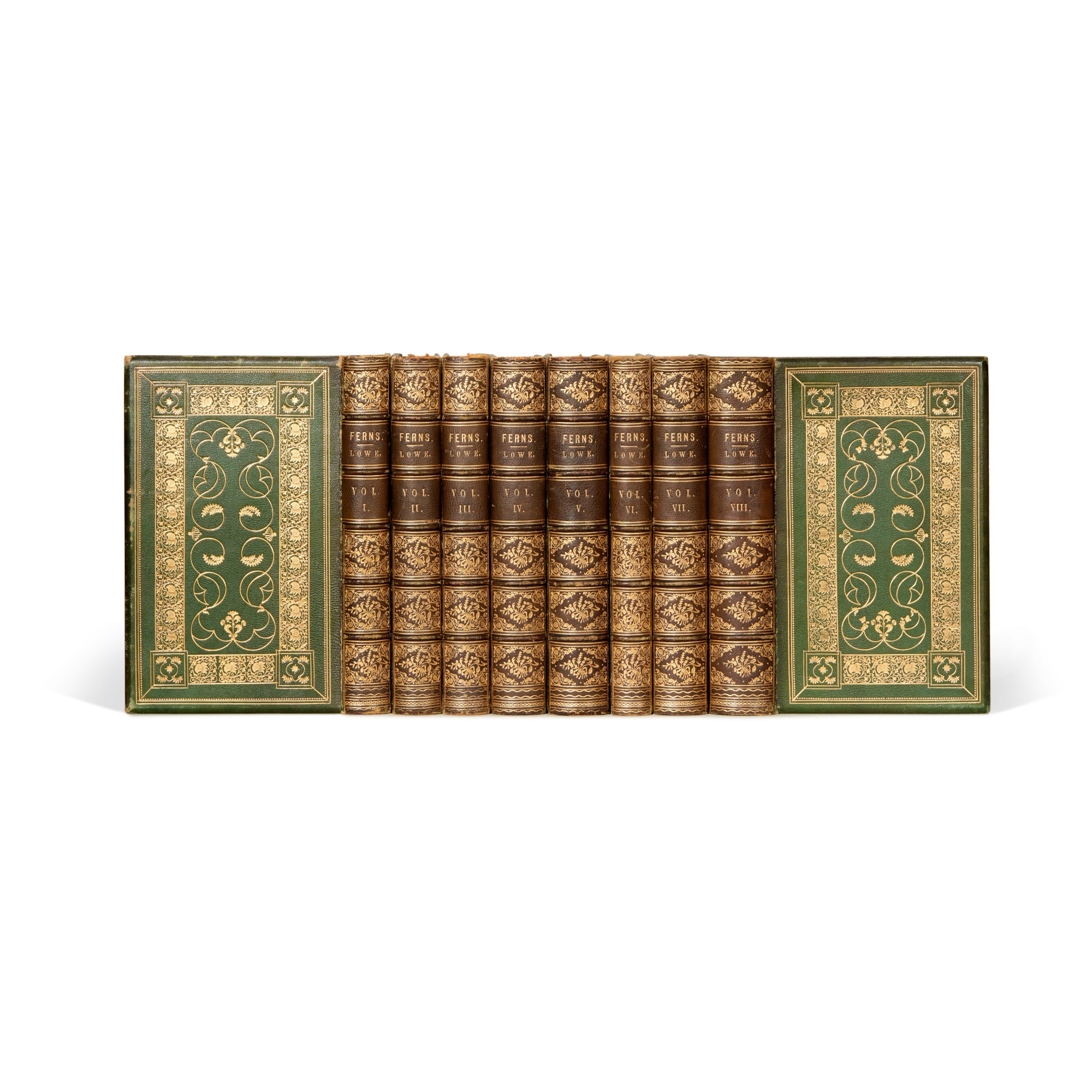 Edward Joseph Lowe | Ferns, British and exotic, 1856-1860, 8 volumes ...