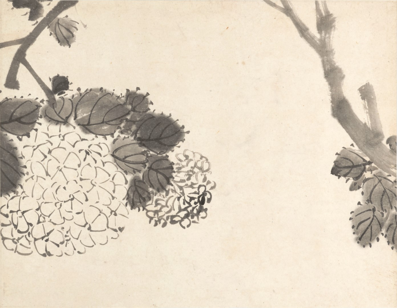陸恢 花菓冊 | Lu Hui, Fruits and Flower | Fine Chinese Paintings | | Sotheby's
