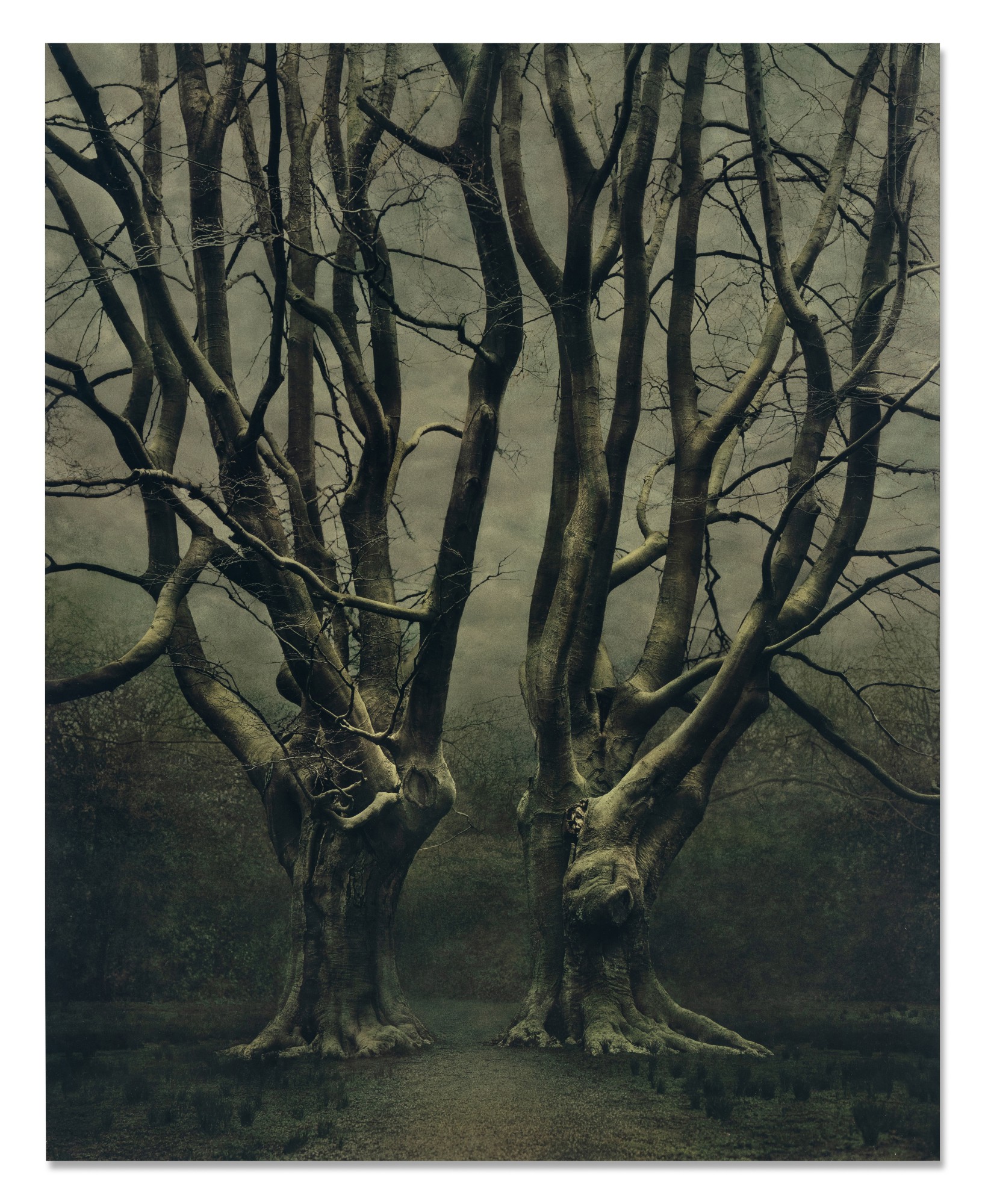 XTERIORS IX (Tree) | Contemporary Curated | 2022 | Sotheby's