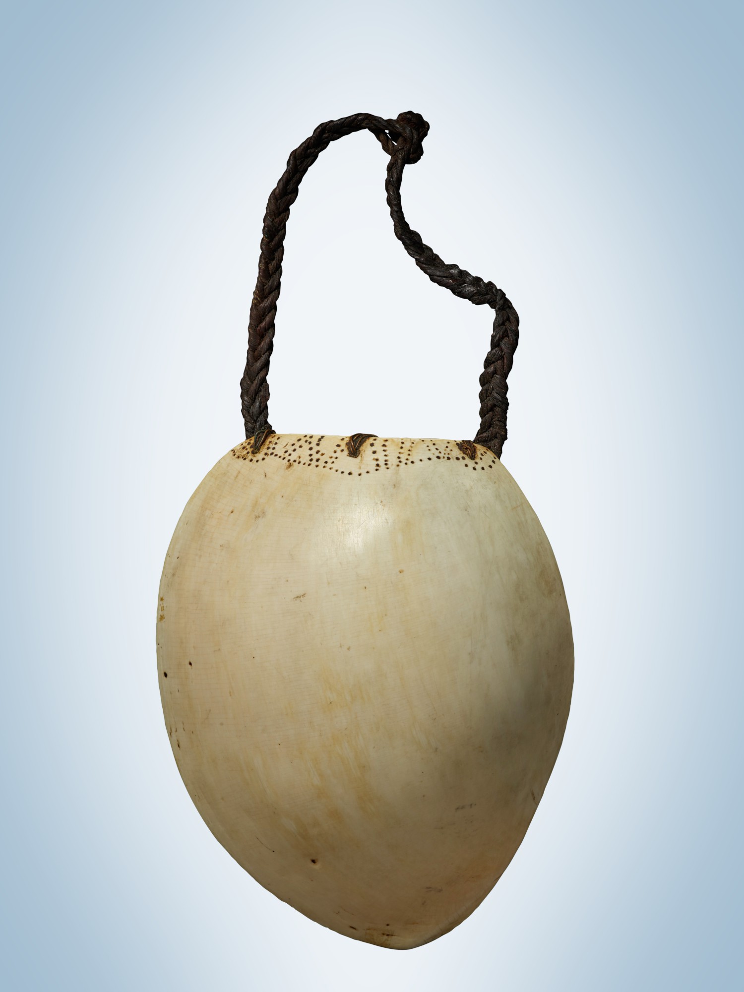 Shell Pectoral Ornament, Mendi Valley, Southern Highlands Province ...