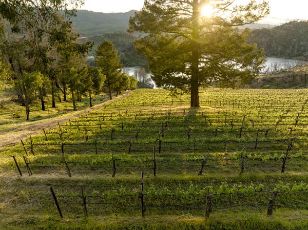 Burgess Cellars, Cabernet Sauvignon, Napa Valley 2006 (12 BT) | NVV ...