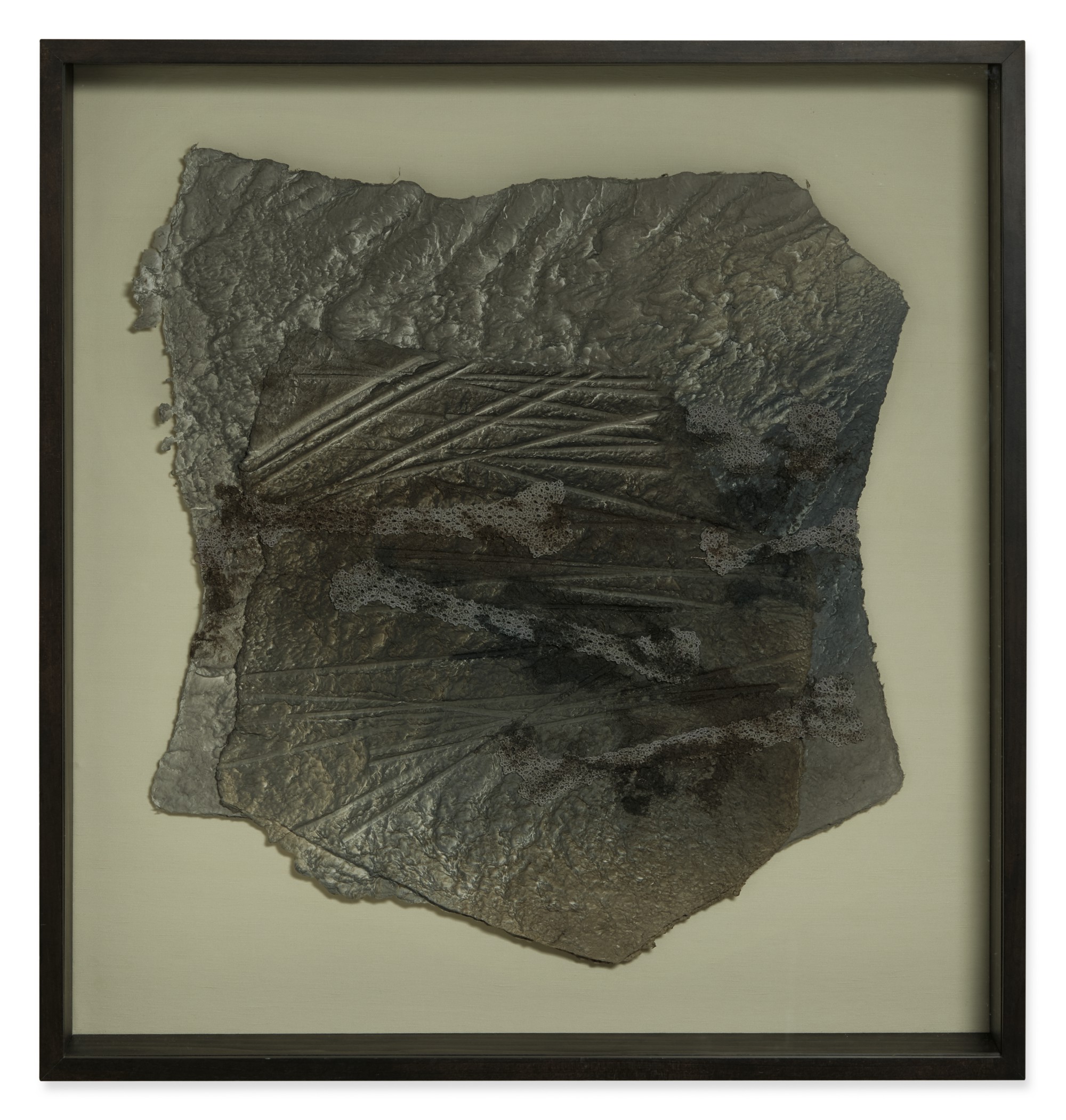 GERALDINE JAVIER | (I) PILTDOWN MAN D, (II) PILDOWN MAN F, (III ...