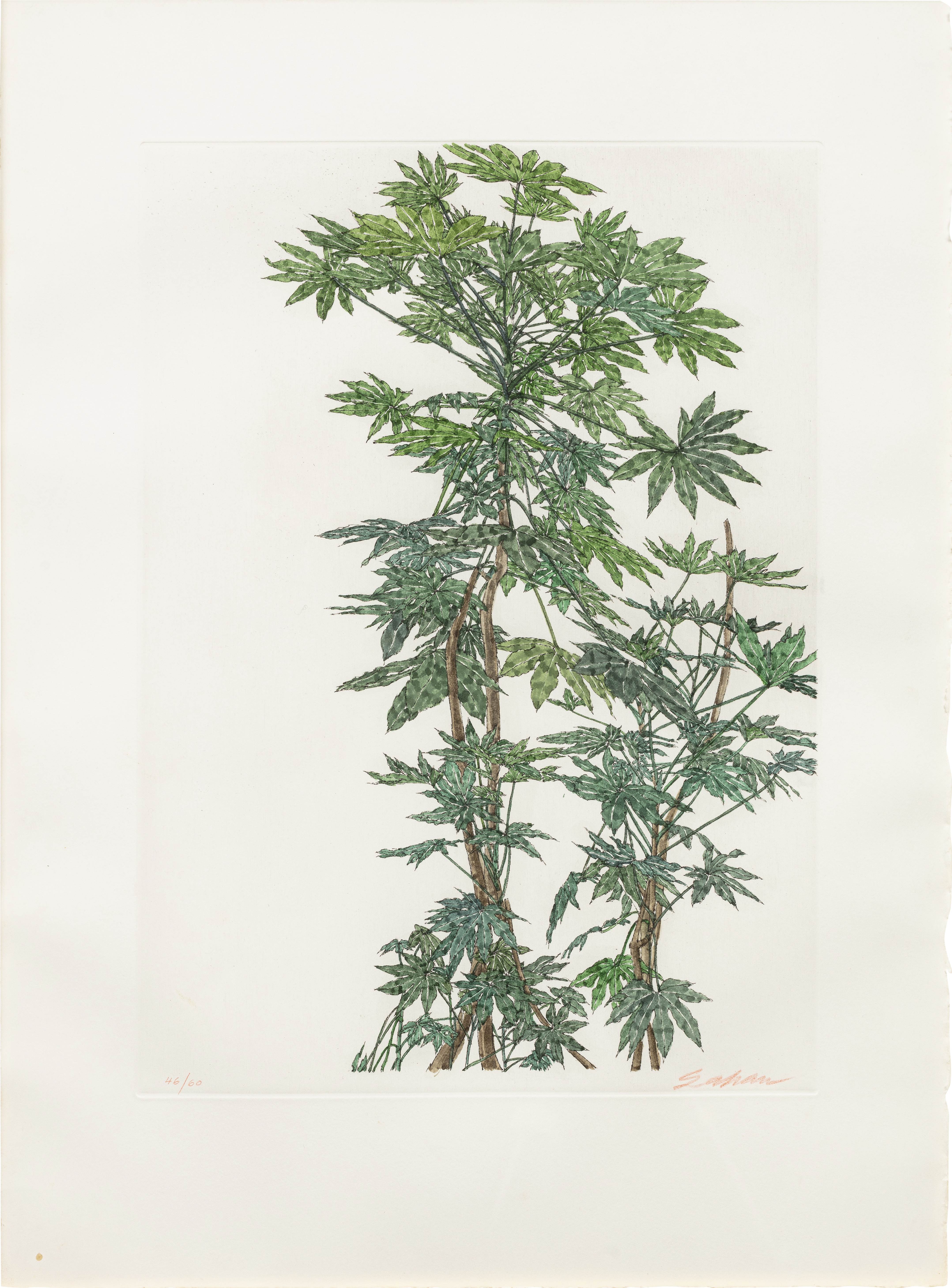 Sans titre | Collection Sam et Lilette Szafran…& friends | 2023 | Sotheby's