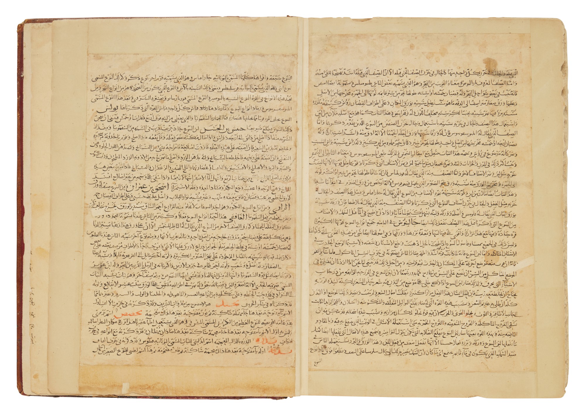 Diya' al-Din Abu Muhammad ‘Abdullah ibn Ahmed al-Malaqi, known as Ibn ...