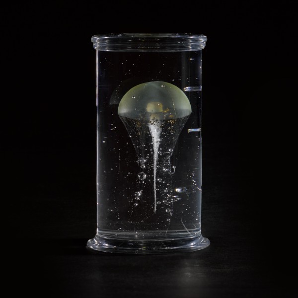 Steffan Dam, b. 1961 | Jellyfish | Worlds within Worlds | Works from ...