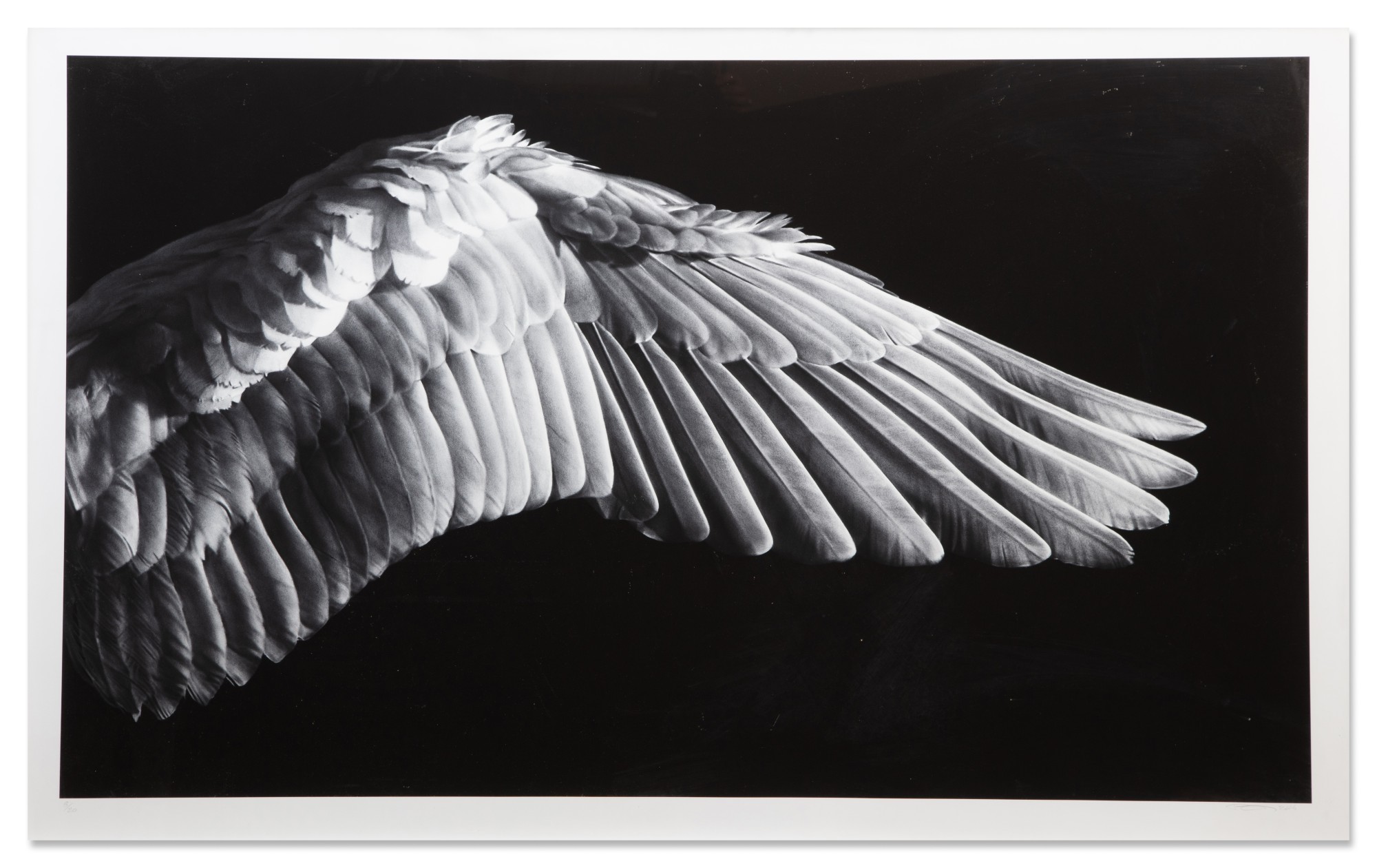 Gabriel's Wing | Art Contemporain Day Sale | 2021 | Sotheby's