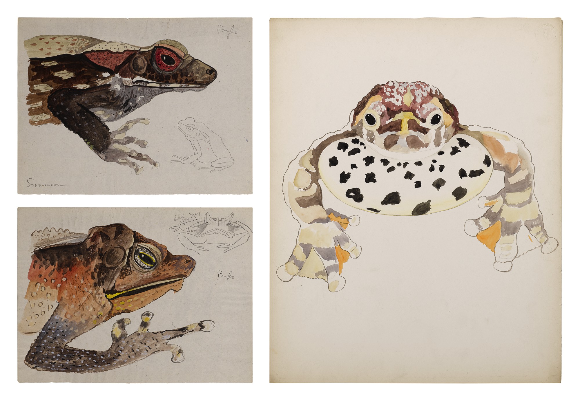 THREE WORKS: BUFO TOADS | The Art of Expedition: The Works of George ...