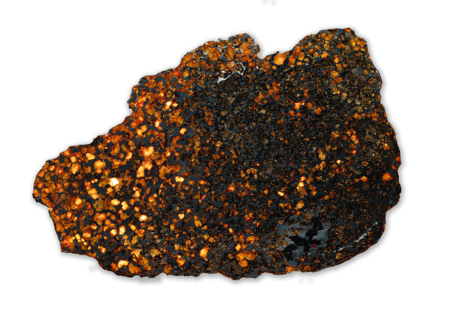 A SLICE OF SERICHO PALLASITE | History of Science and Technology ...