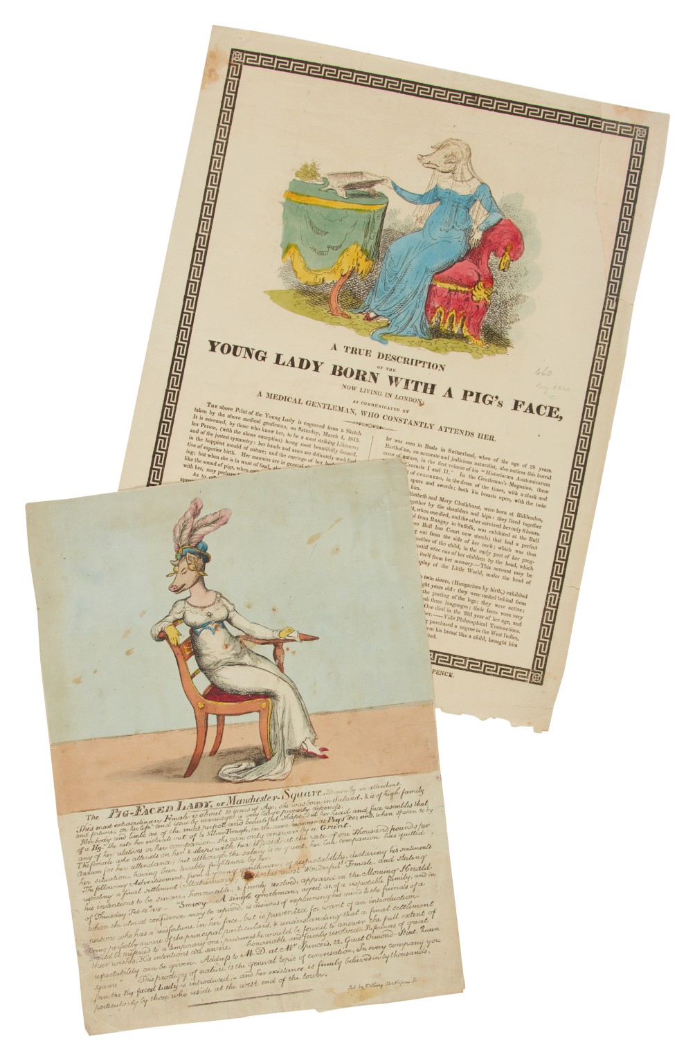 Two Broadsides on Pig-Faced Ladies | Two Iterations of the Famed ...