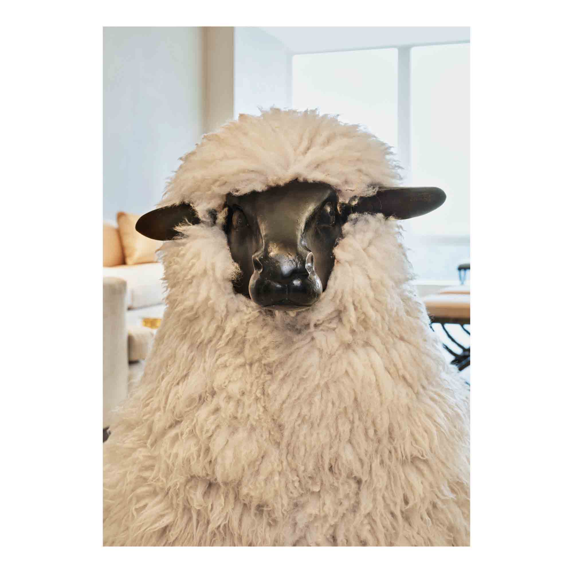 Mouton de Laine | A Vision: The Collection of Michelle Smith | | Sotheby's