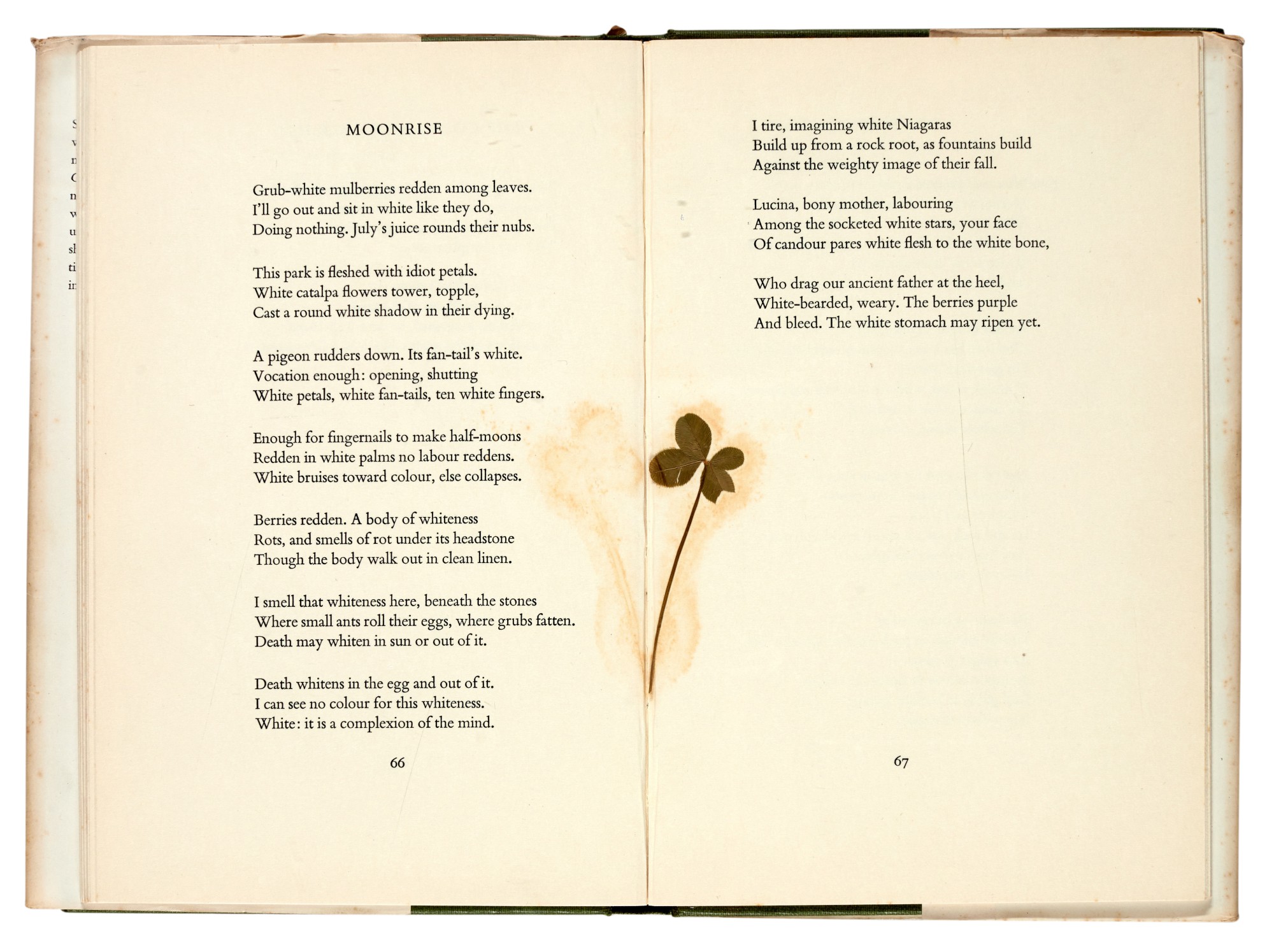 Sylvia Plath | The Colossus and other poems, 1960, inscribed by Plath ...