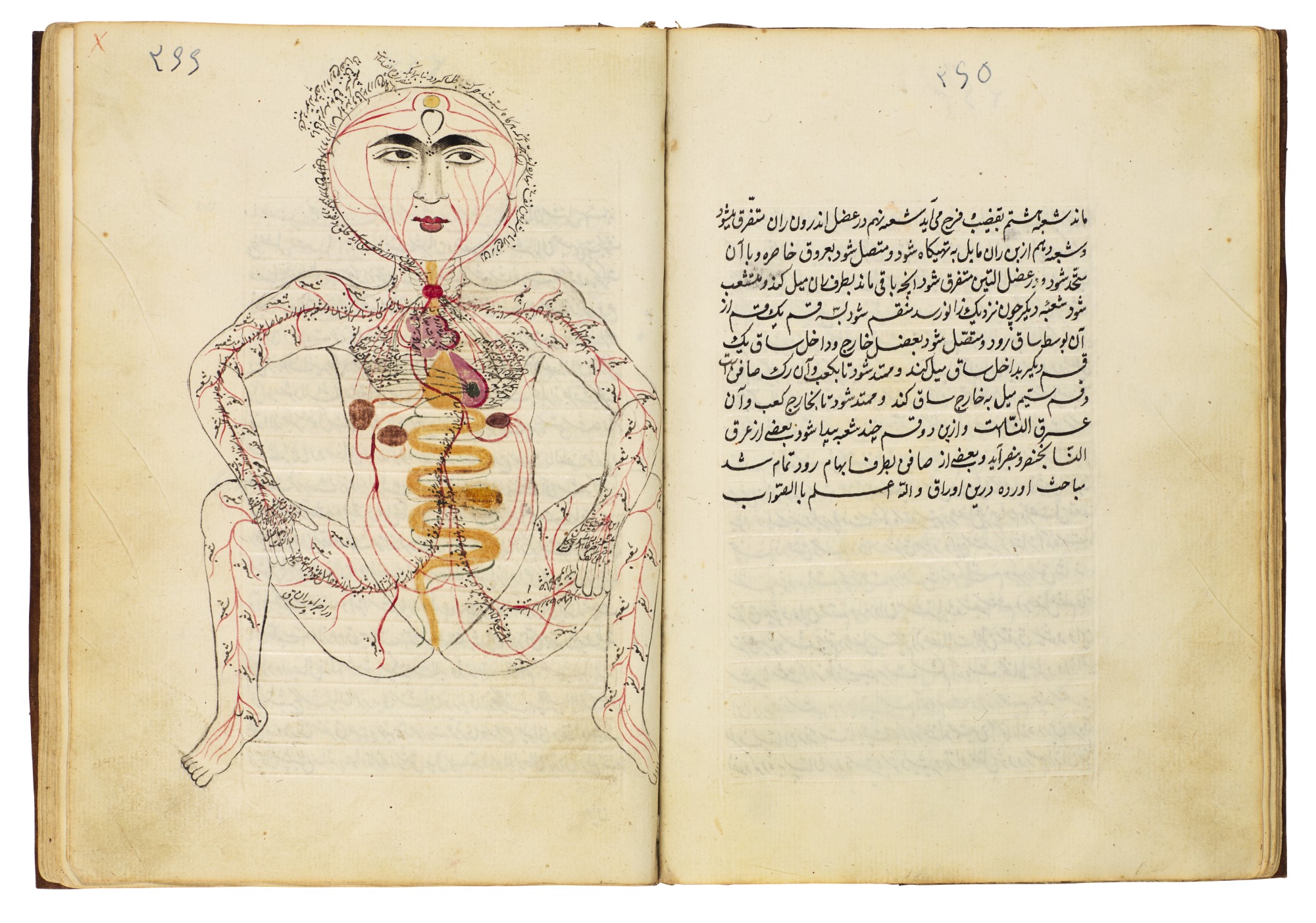 ABU AL-MAJID AL-TABIB AL-BAYDAWI, KITAB TASHRIH, COPIED BY ABU AL-QASIM ...