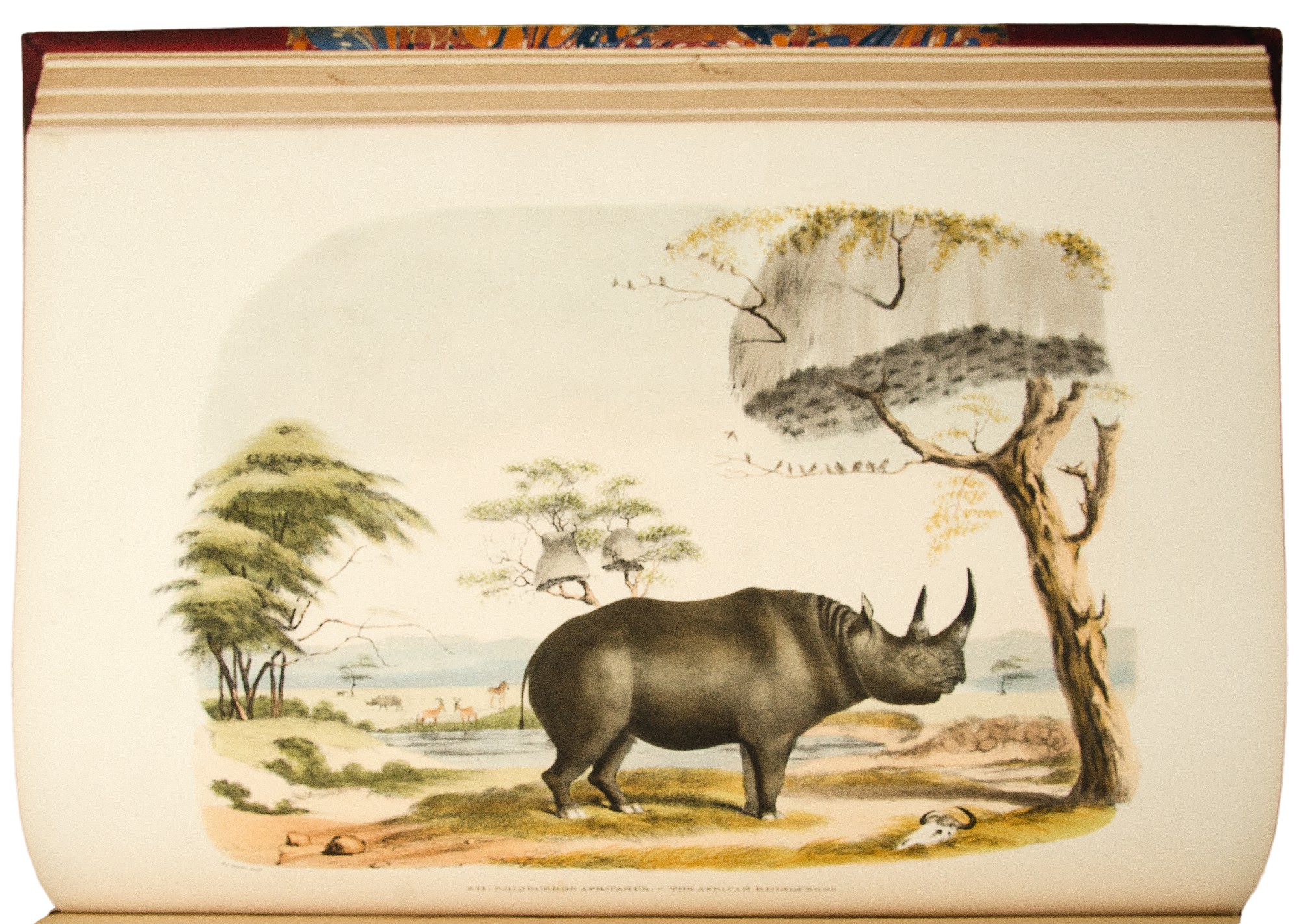 Harris, Sir William Cornwallis. A fine copy of the large paper issue of ...