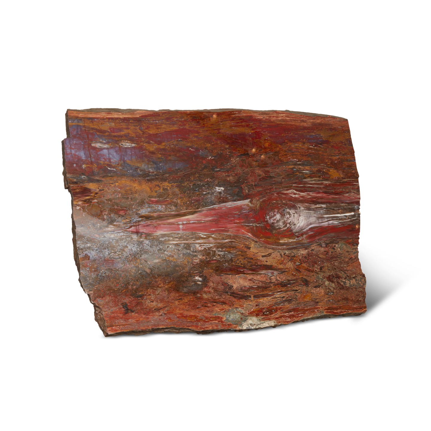 Petrified Wood Knot Log | Natural History | 2021 | Sotheby's