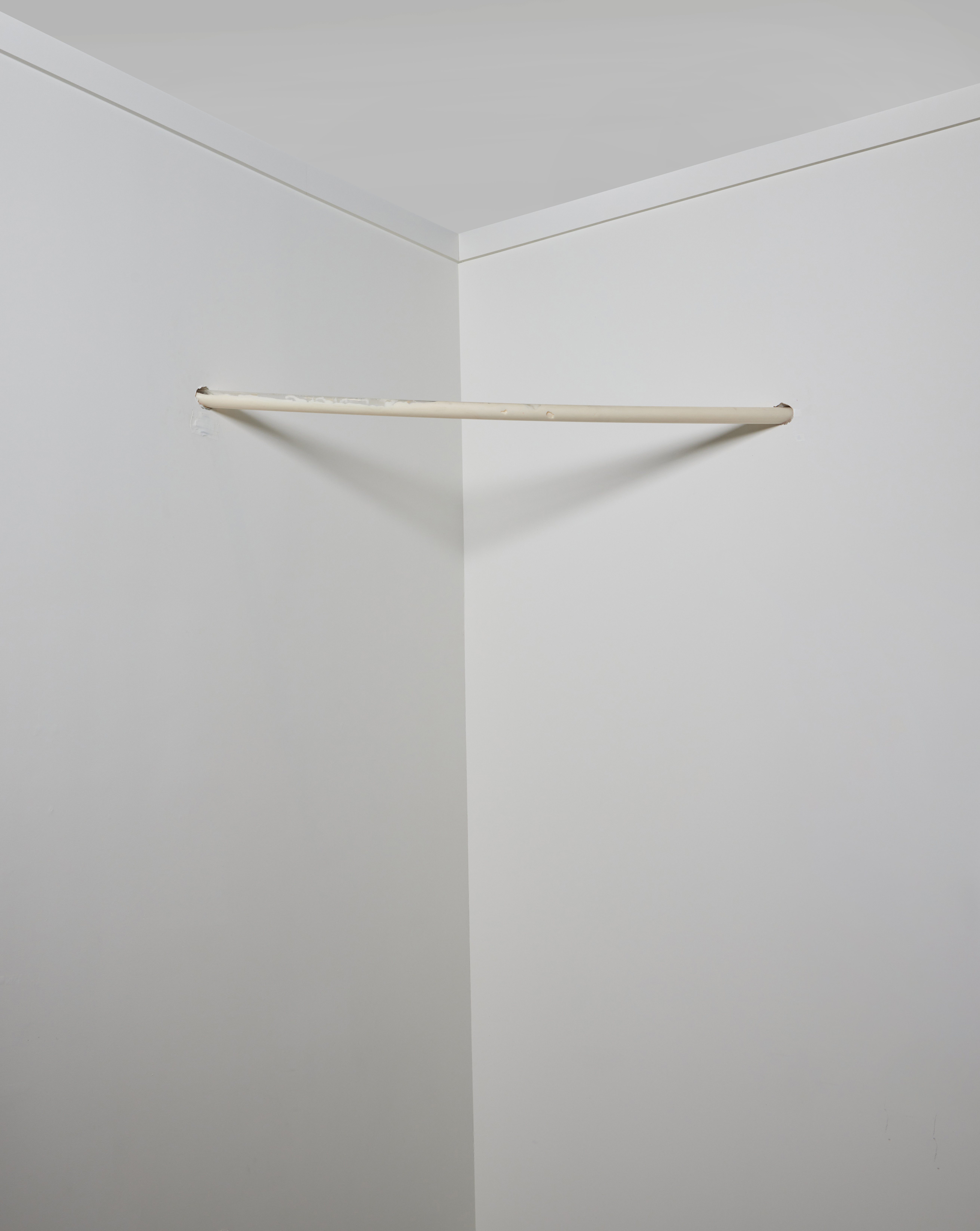 Cocoa Butter Cylinder (NBA Regulation Height) | Contemporary ...