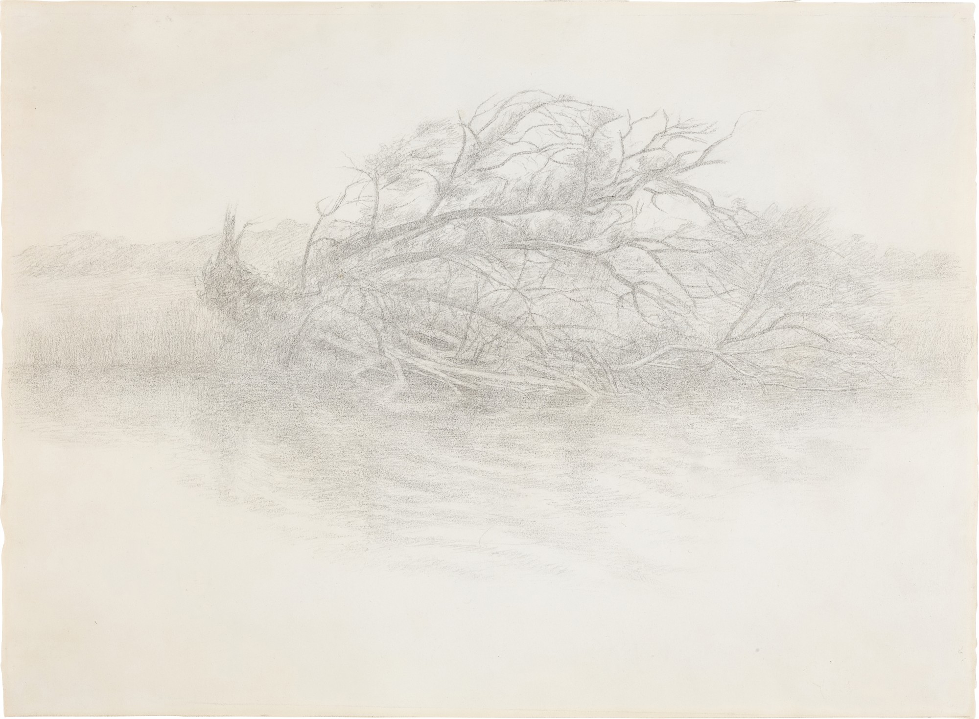 Fallen Tree | Made in Britain | 2021 | Sotheby's