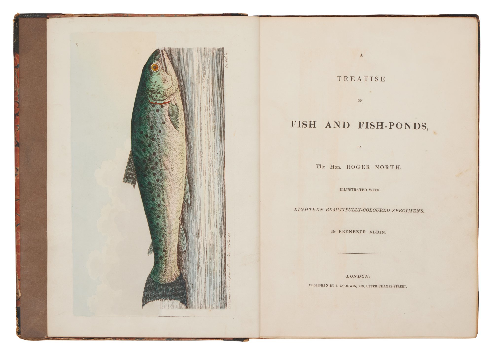 North, Roger — Eleazar Albin (illustrator) | Beautifully colored fish ...