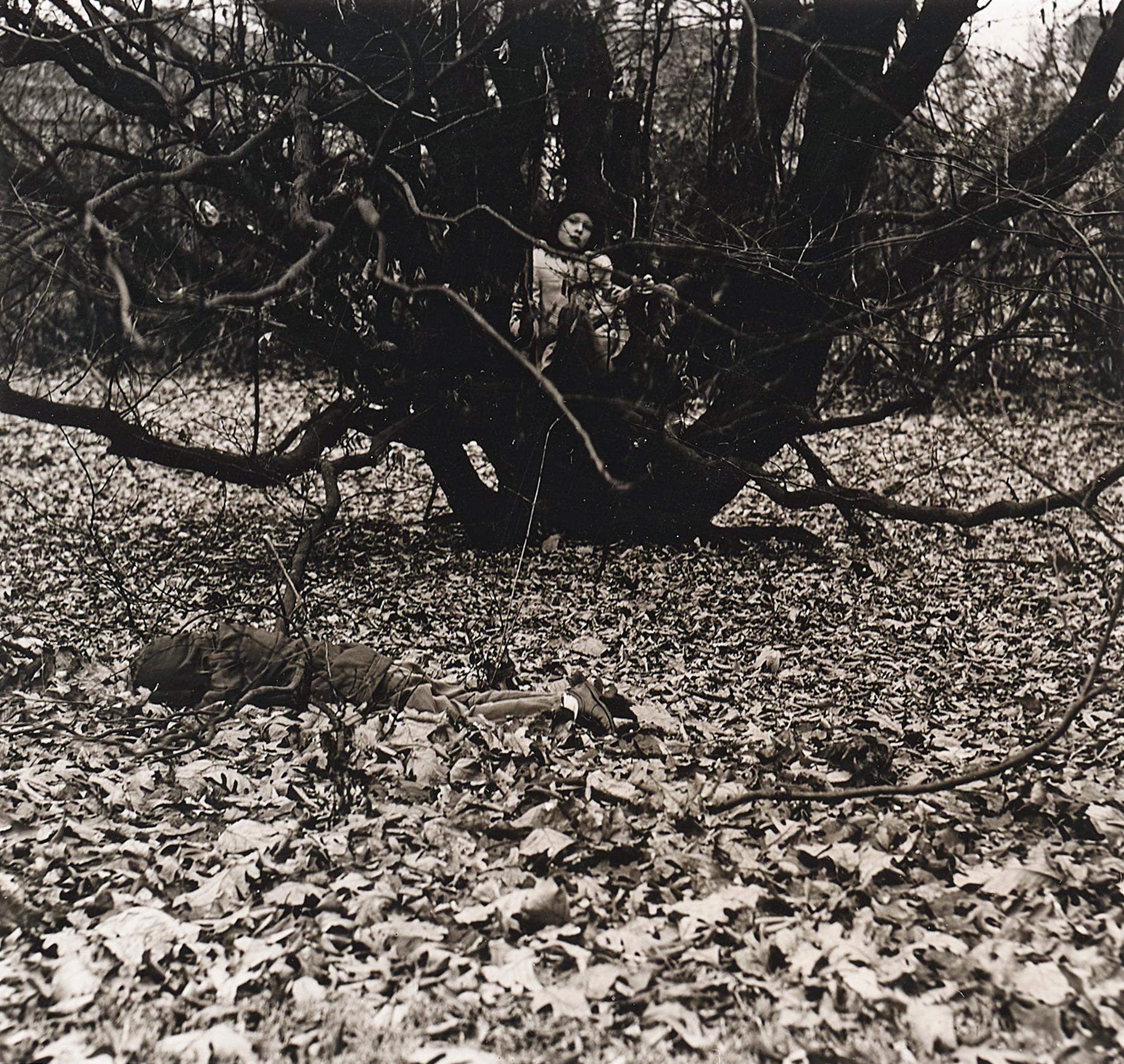 Untitled | Photographs | 2023 | Sotheby's