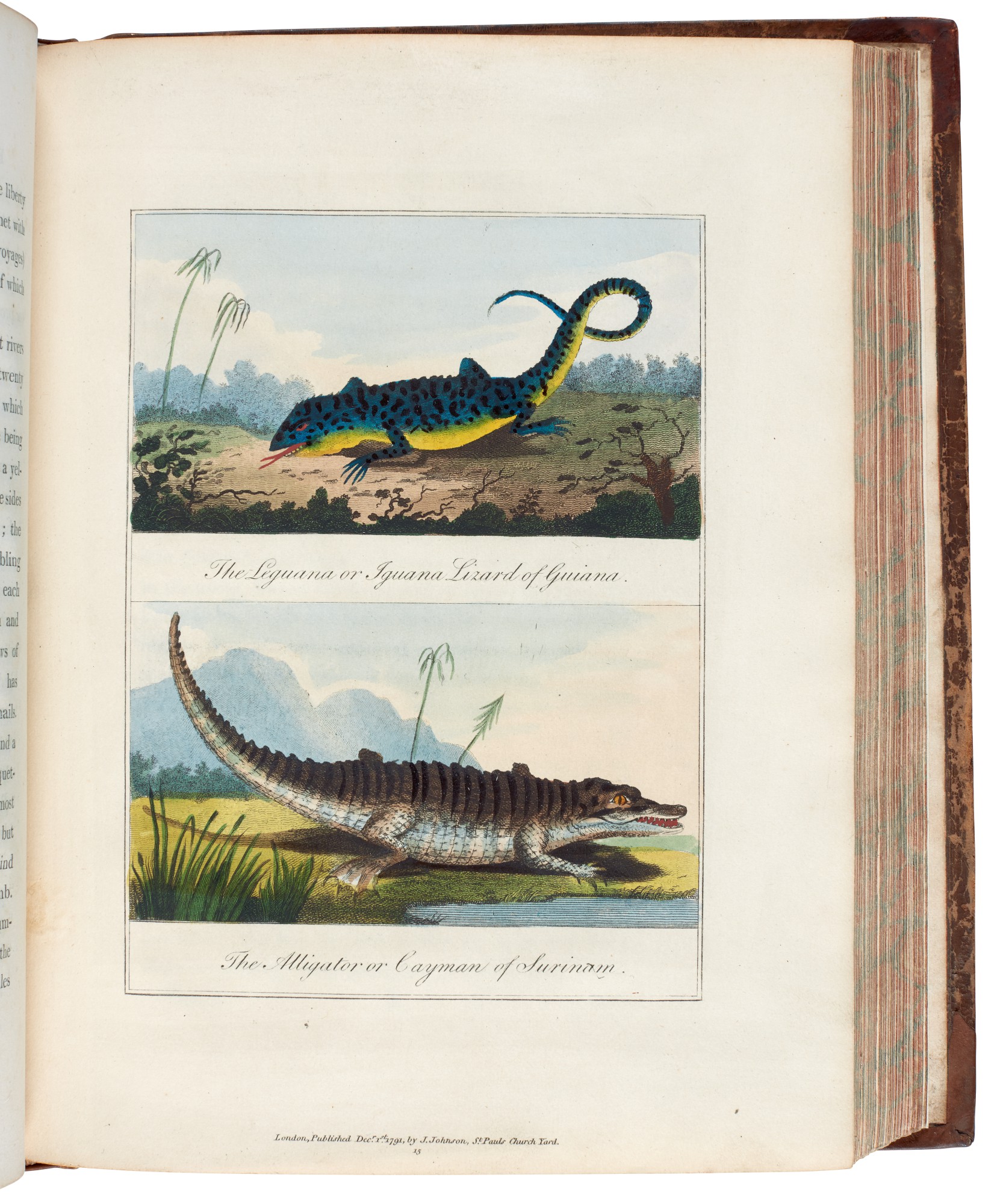 STEDMAN | Narrative of a five years' expedition against the revolted negroes of Surinam, 1813 ...